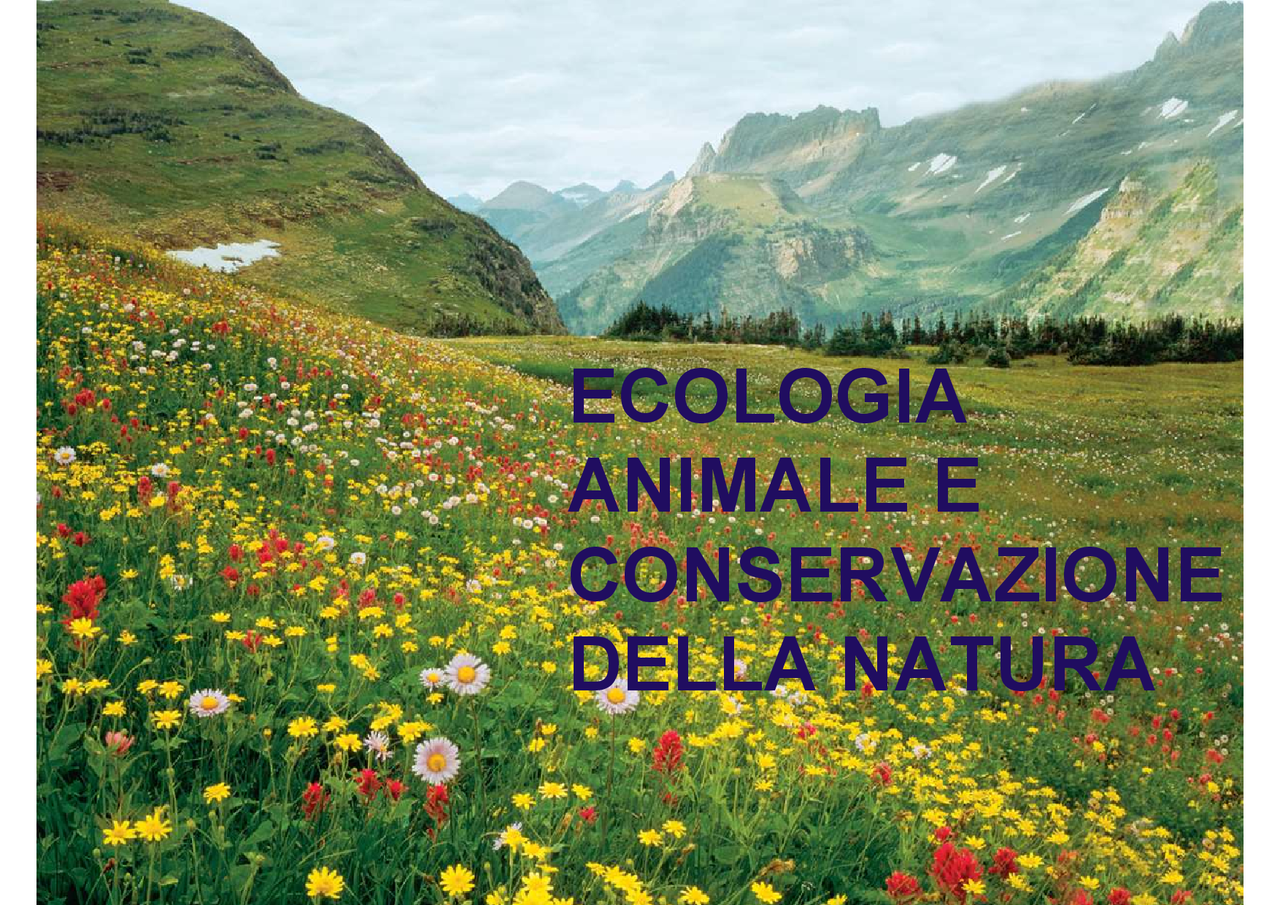 Ecologia animale lez1 - Docsity