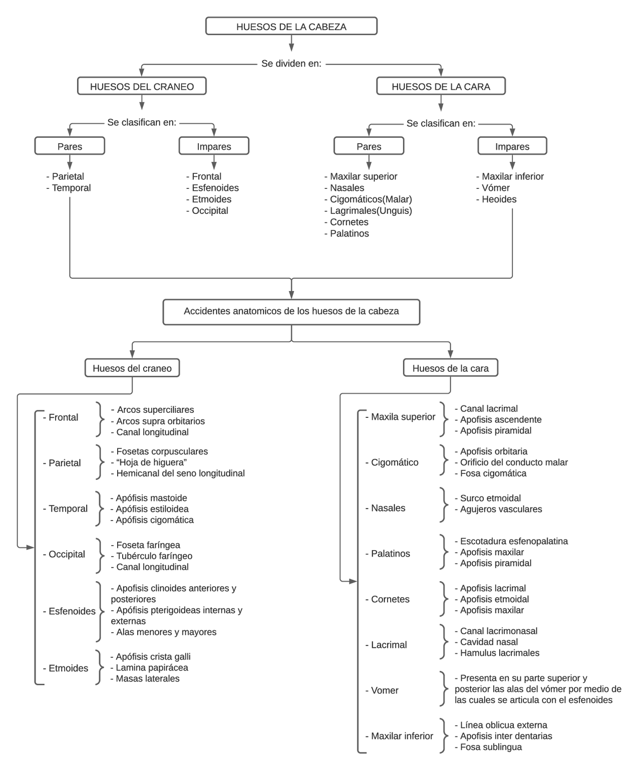 Huesos De La Cabeza Notes De Psycologie Humaine Docsity