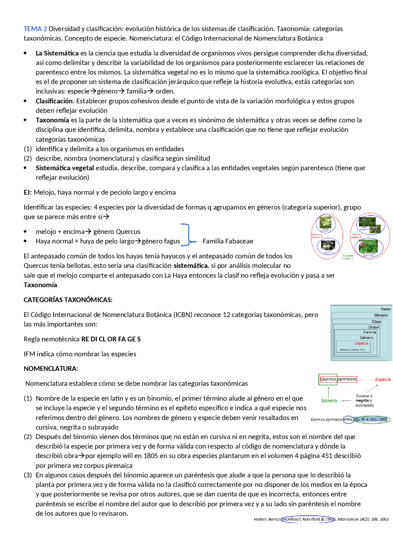 Apuntes Botánica Tema 2 Docsity