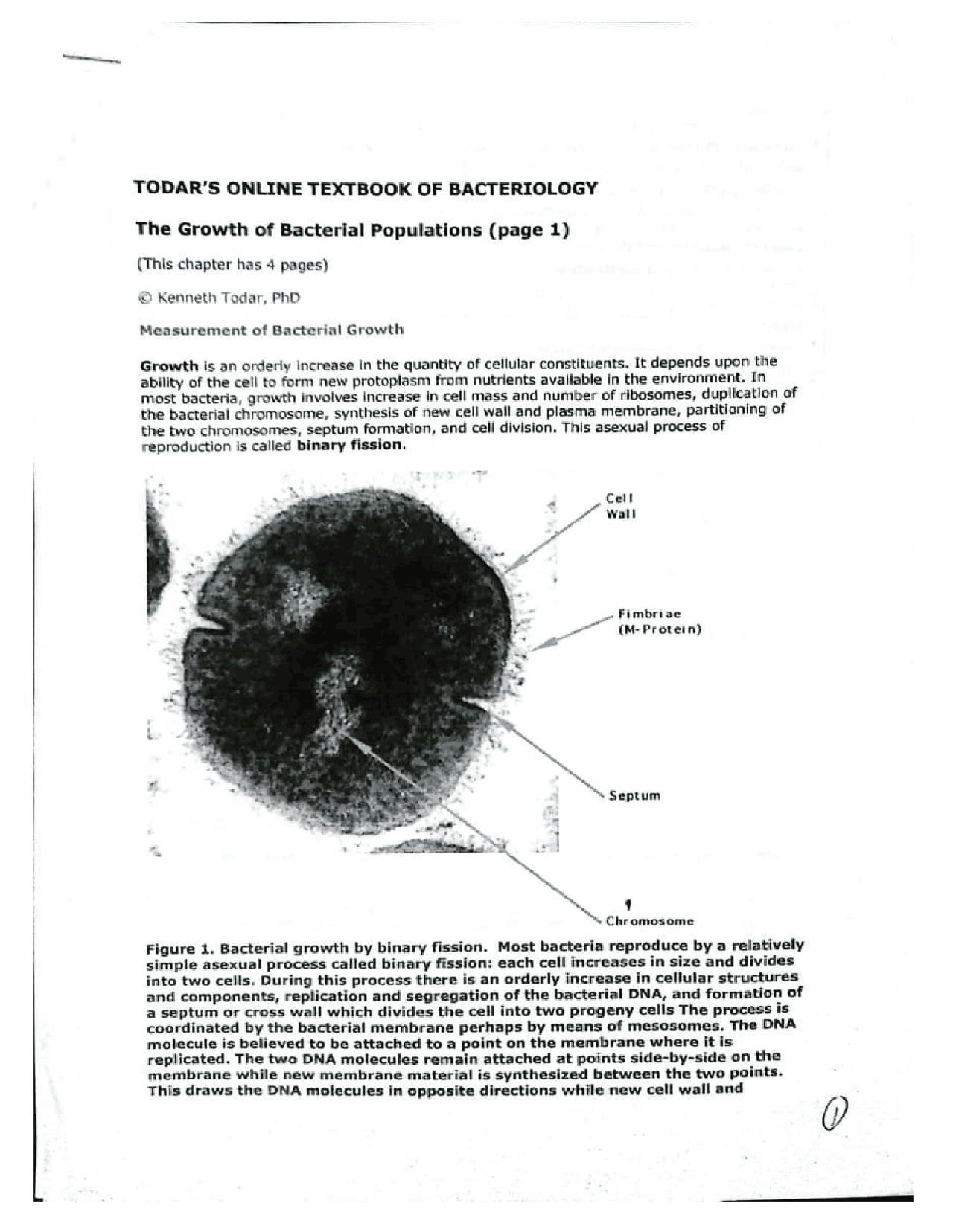GENERATION TIME OF MICROBIAL GROWTH - Docsity