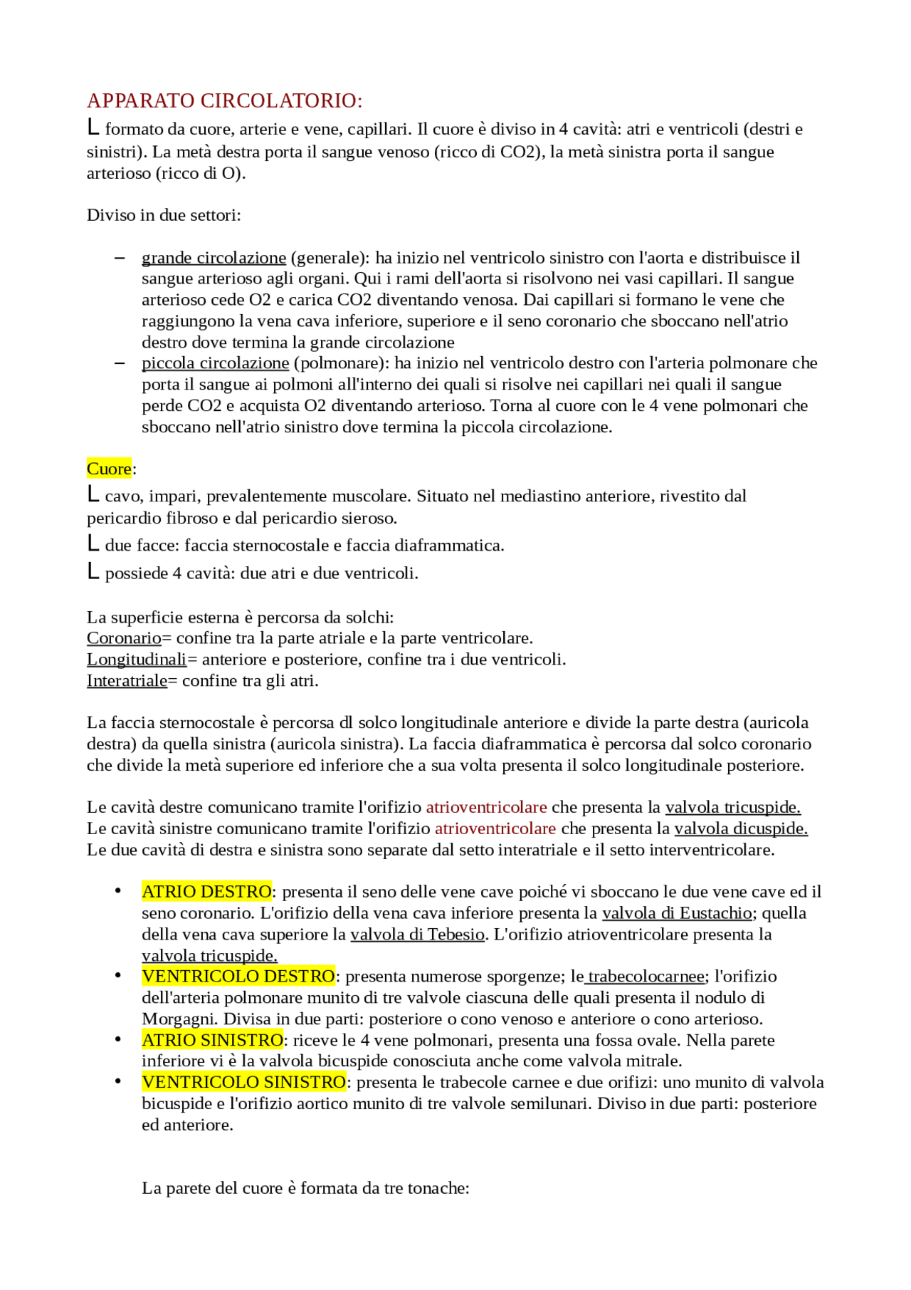 Schema Anatomia Apparato Circolatorio Appunti Di Anatomia Docsity