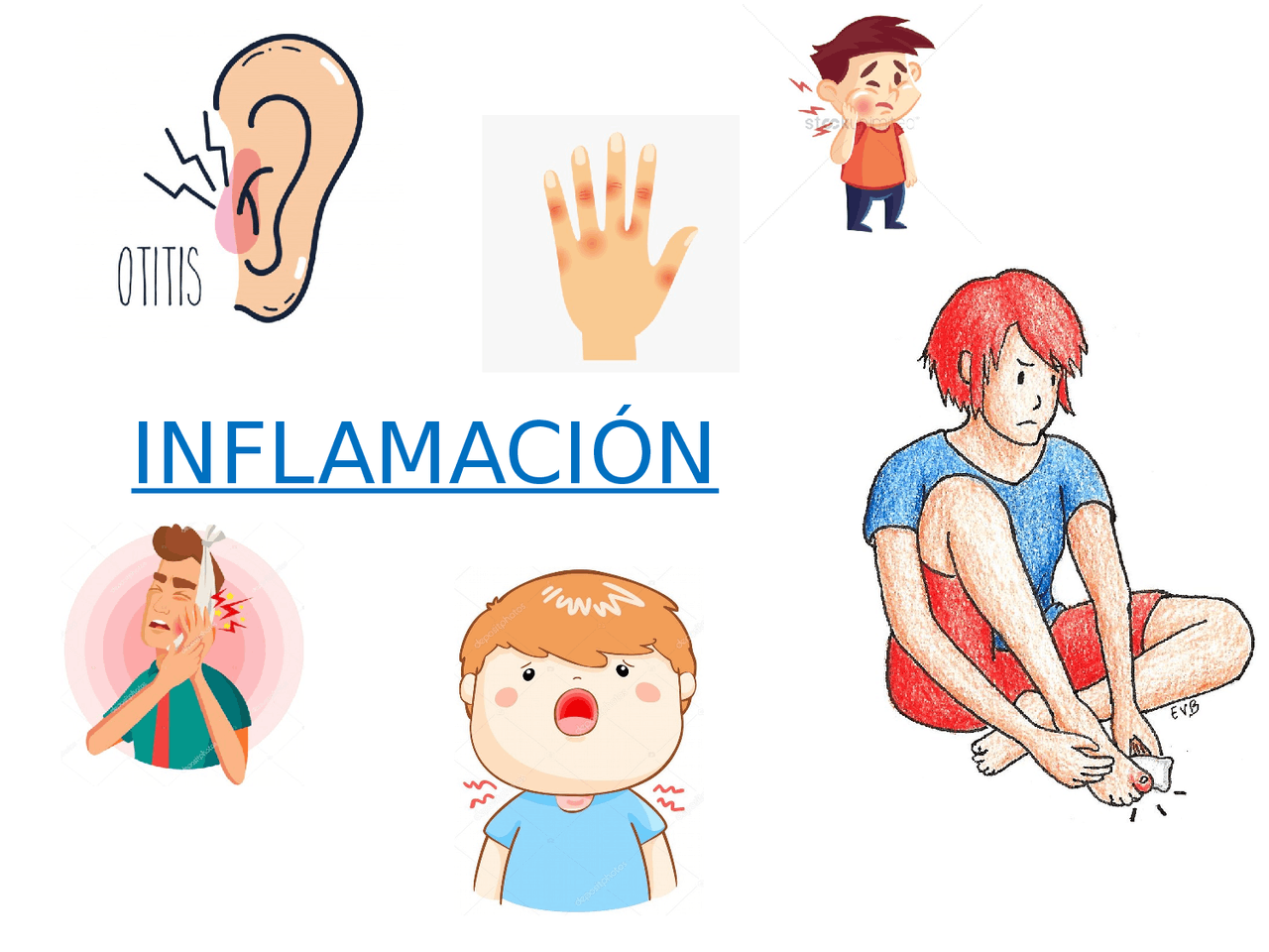 Inflamacion y sus mediadores - Docsity