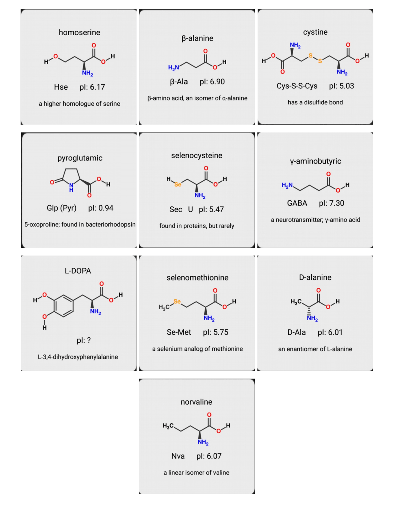 Common acids name and structure | Exercises Biochemistry | Docsity