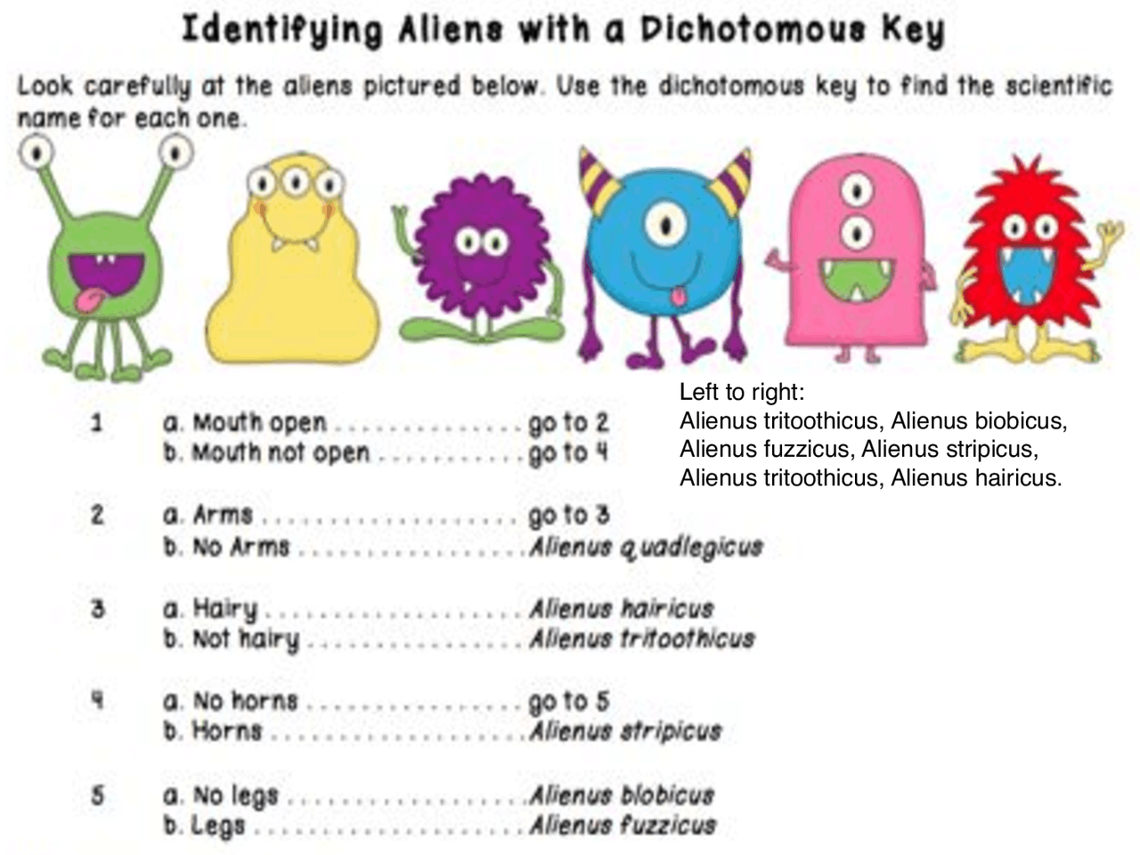 Check Understanding of Dichotomous Key - Docsity
