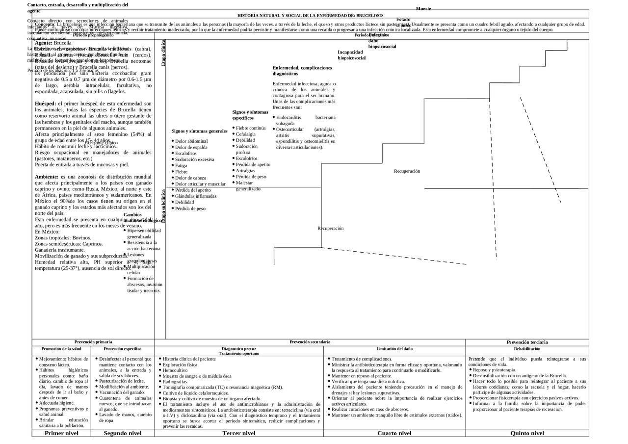Historia Natural De La Enfermedad Docsity
