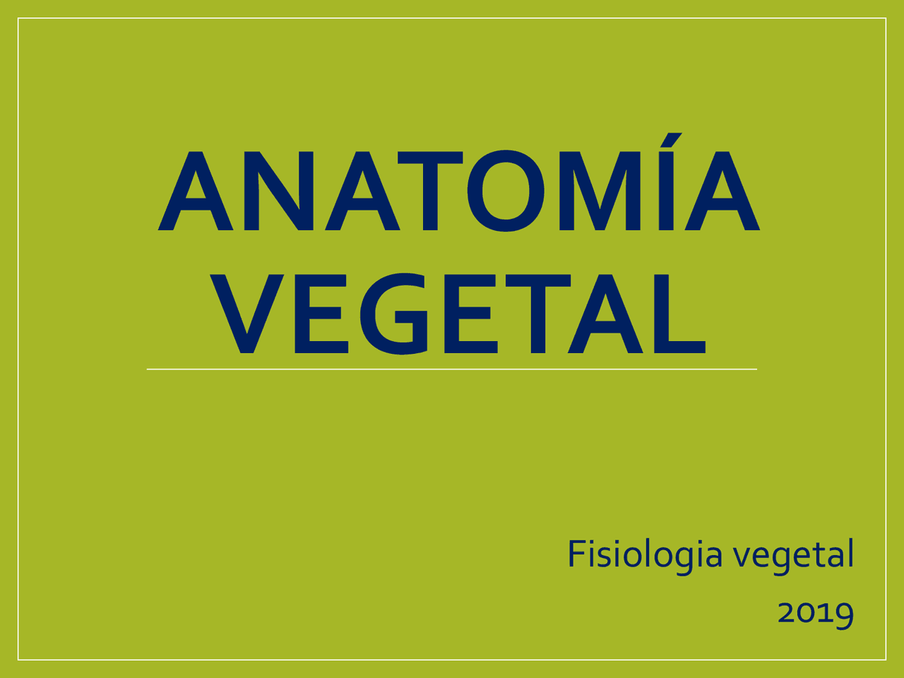 Anatomia y fisiologia vegetal | Diapositivas de Fisiología de las ...