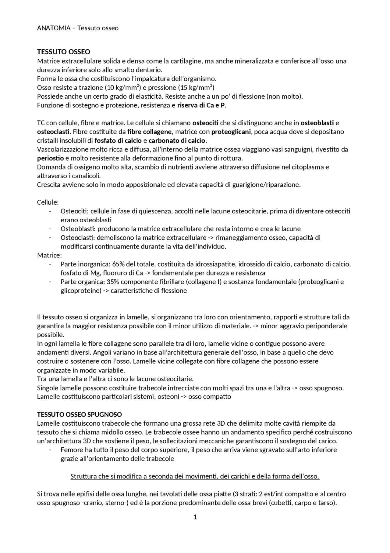 Anatomia Tessuto Osseo Docsity