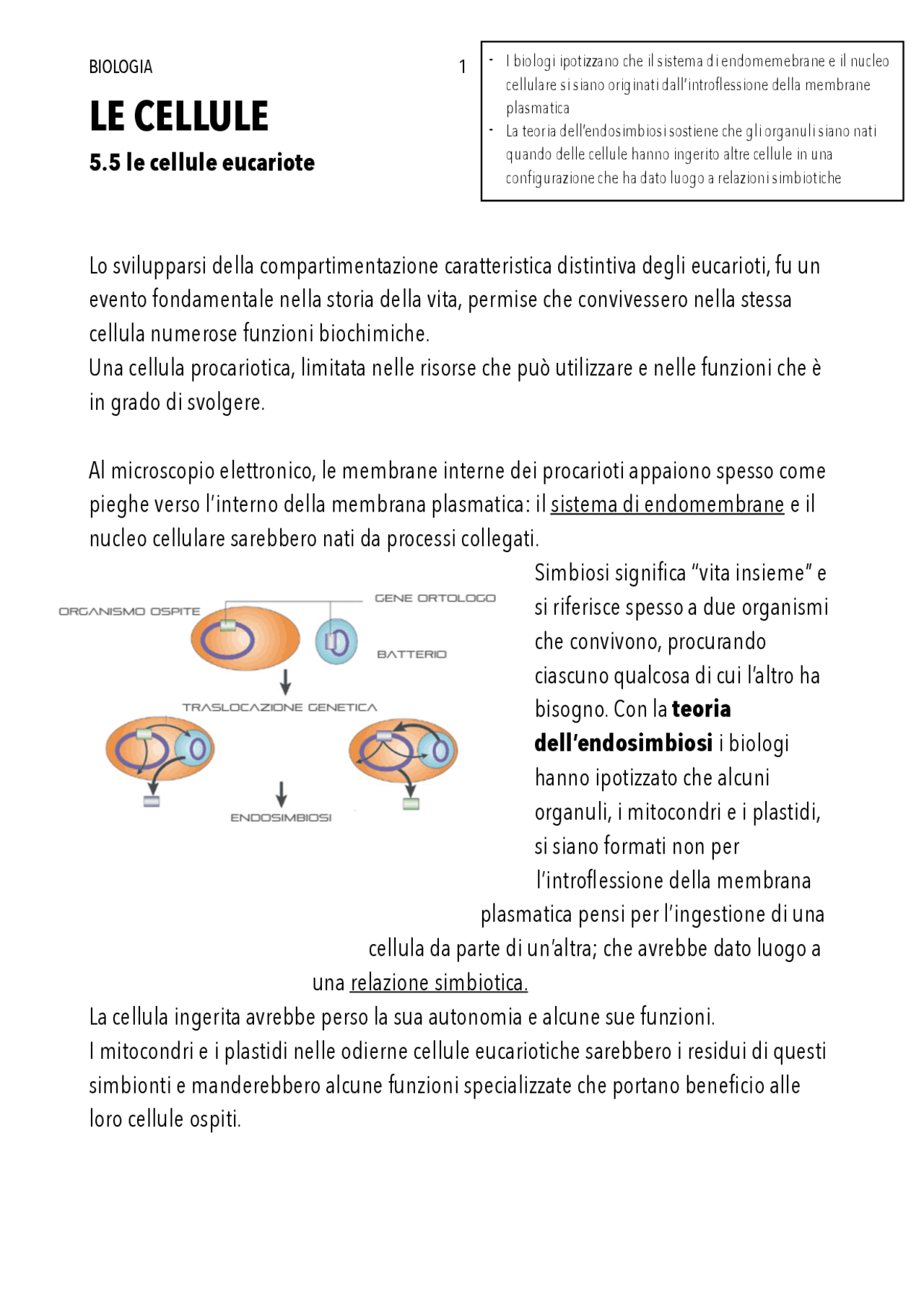 Le Cellule 5 Le Cellule Eucariotiche Docsity