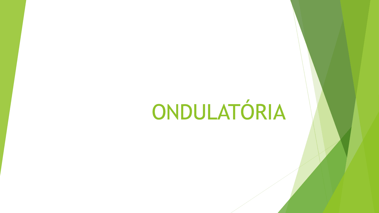 Resumo De OndulatÓria FÍsica Docsity