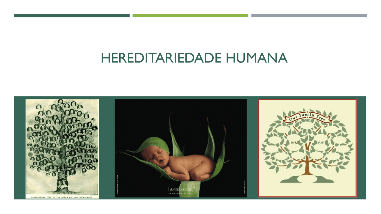 Genetica humana genetica humana - Docsity