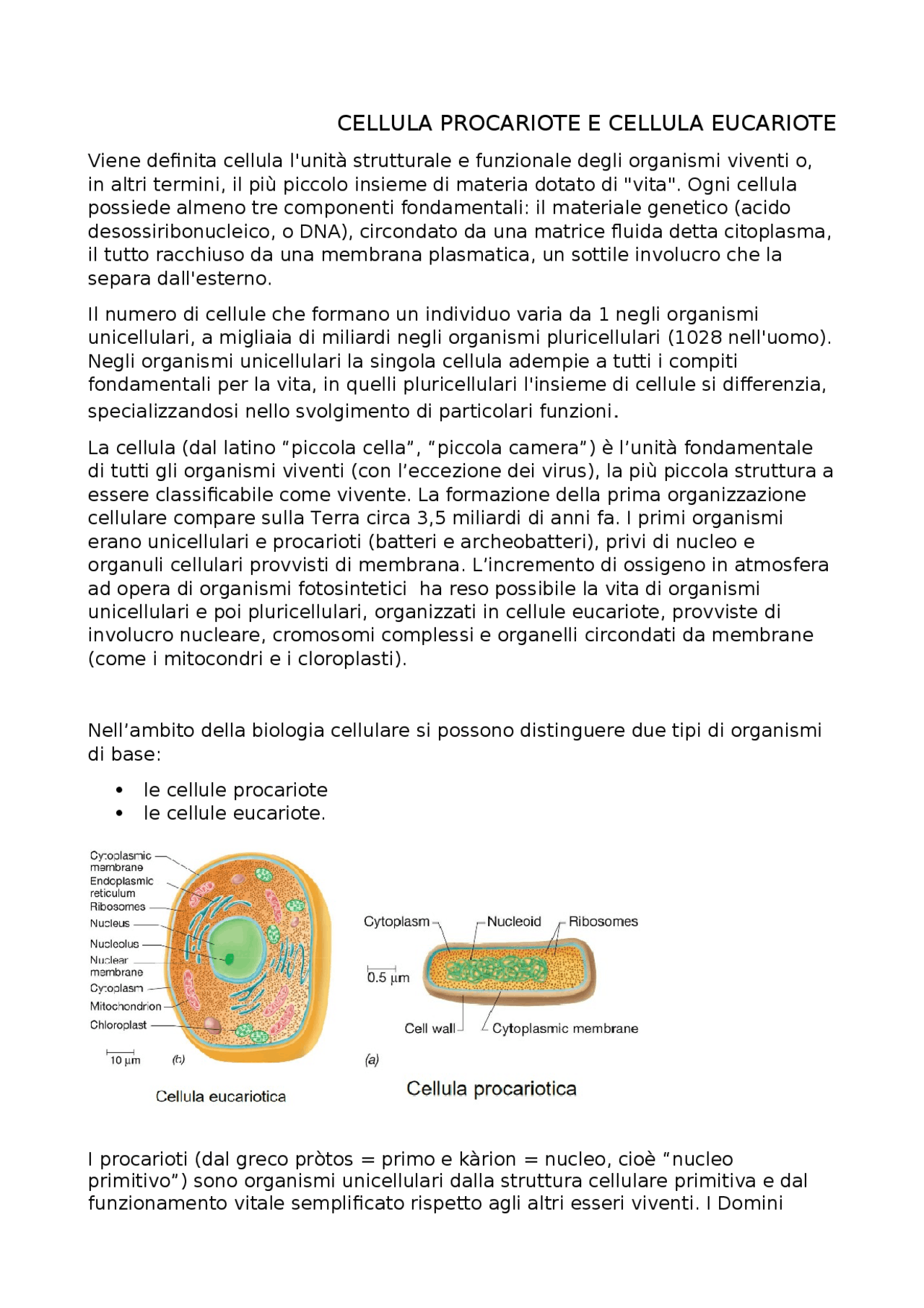 Cellula Procariote Ed Eucariote Docsity