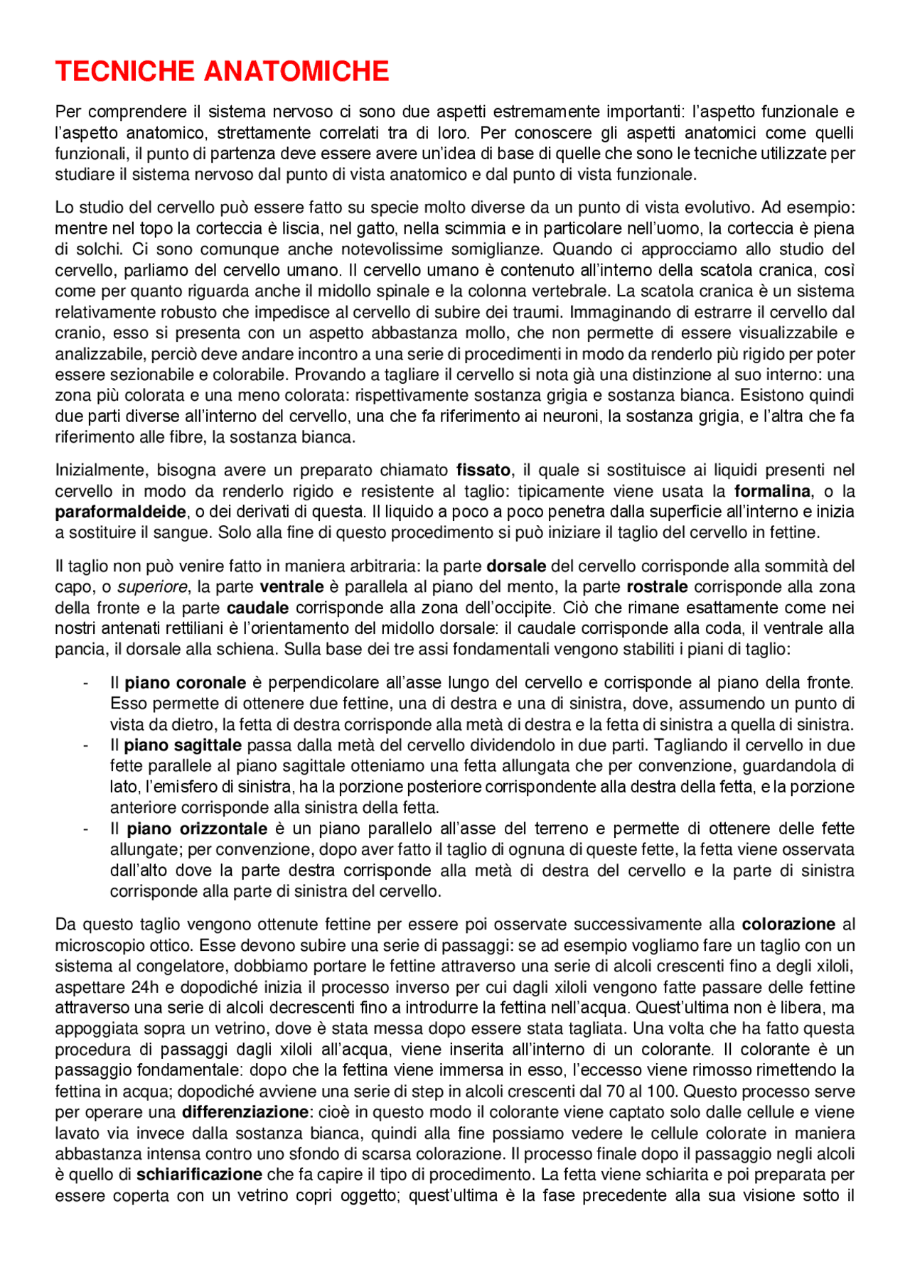 Appunti Di Neuroscienze Neuroanatomia Docsity