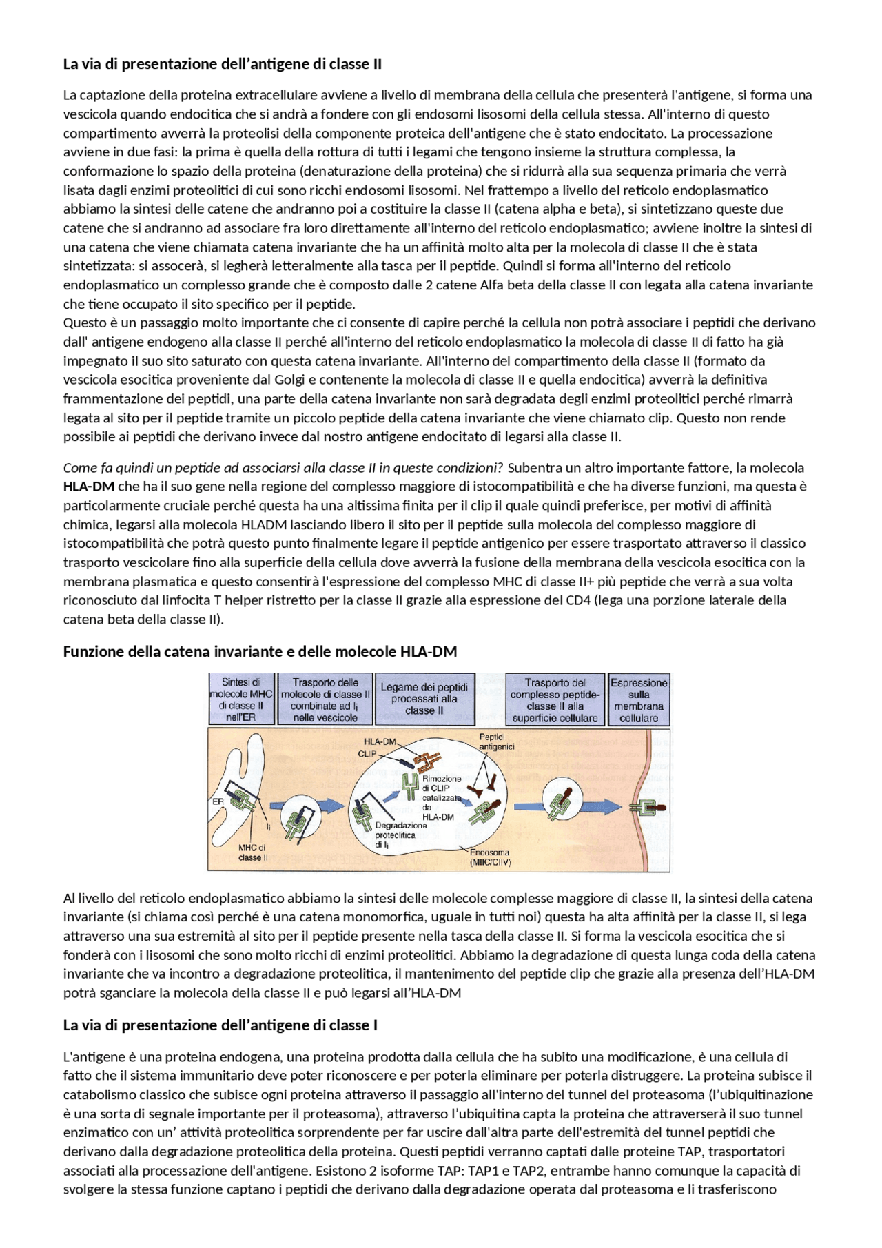 Immunologia E Immunopatologia Docsity