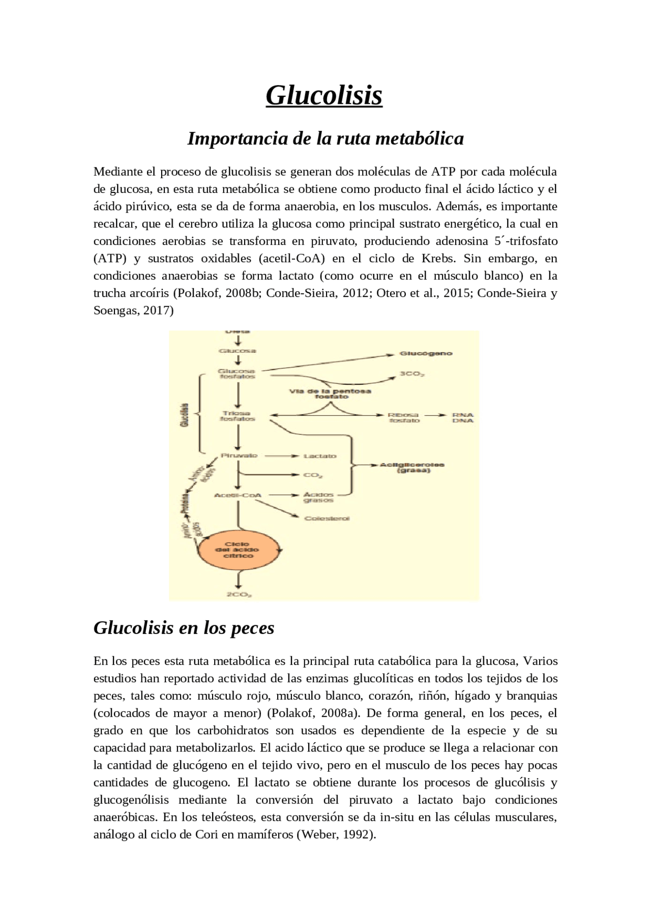 Bioquímica Metabólica Peces Docsity