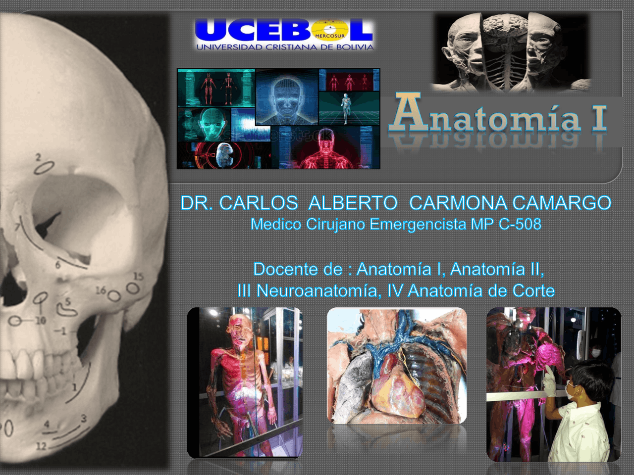 Generalidades De Anatomia Apuntes De Anatomía Docsity