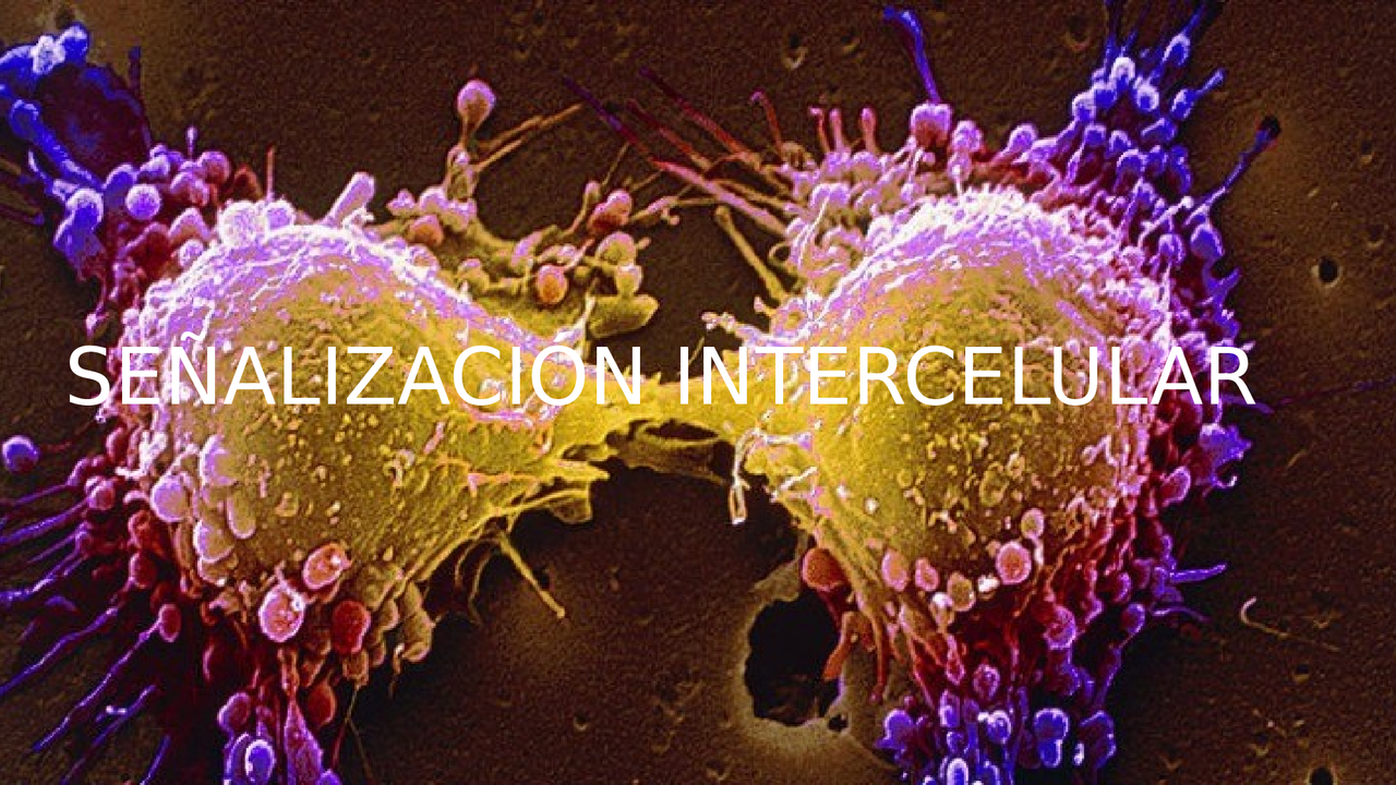 Señalizacion intercelular - Docsity