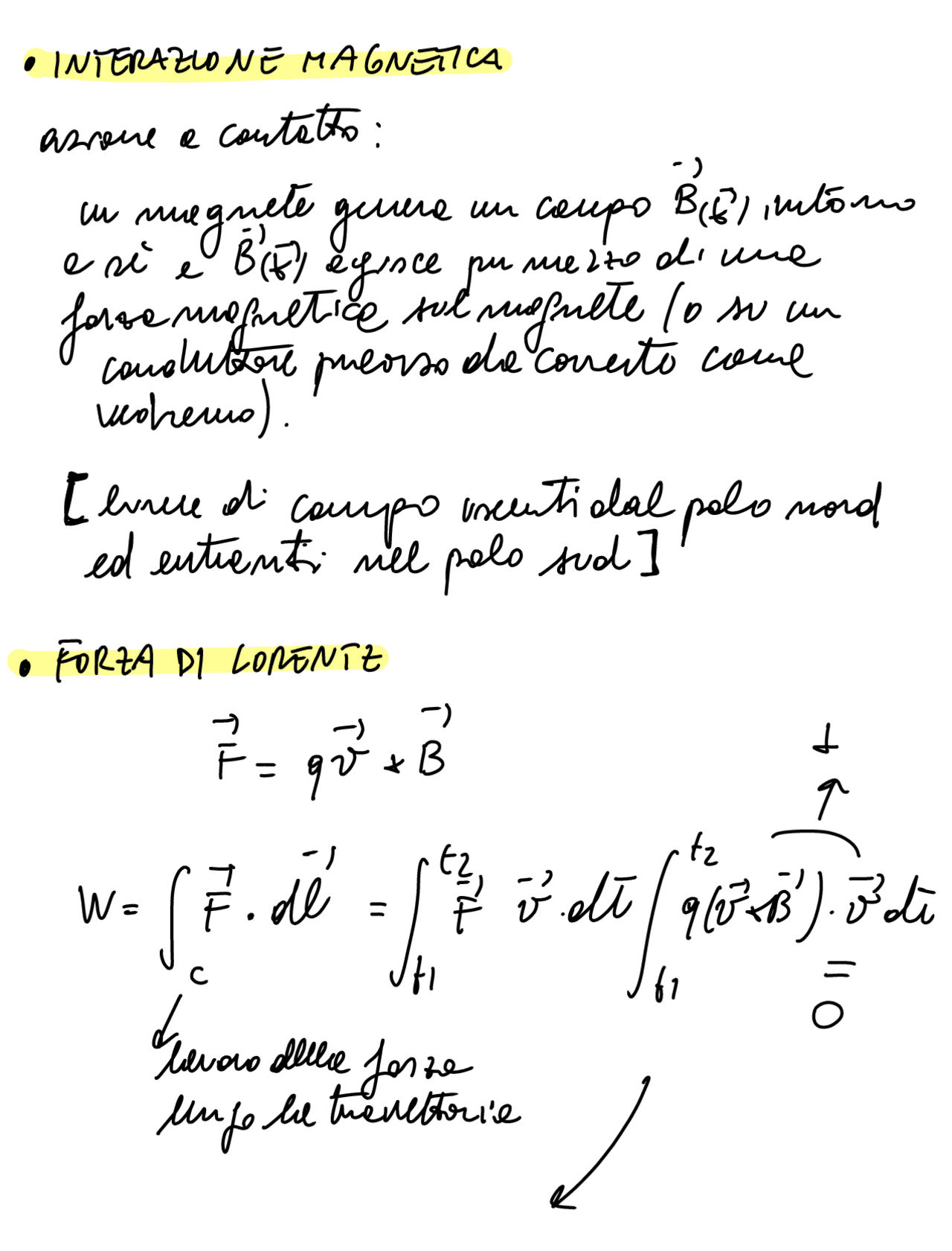 INTERAZIONE MAGNETICA concetti base - Docsity