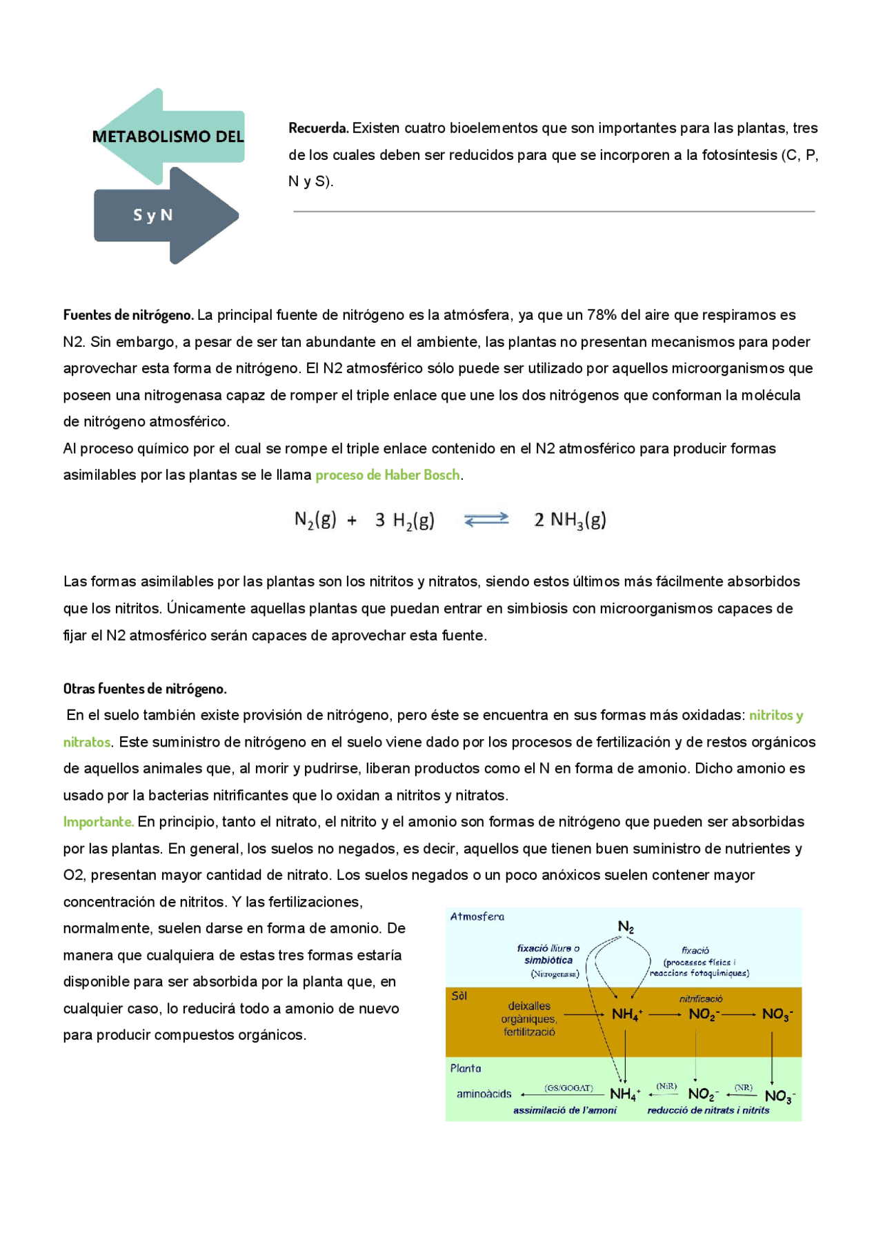 Apuntes T14 Fisio Vegetal | Apuntes de Fisiología de las Plantas | Docsity
