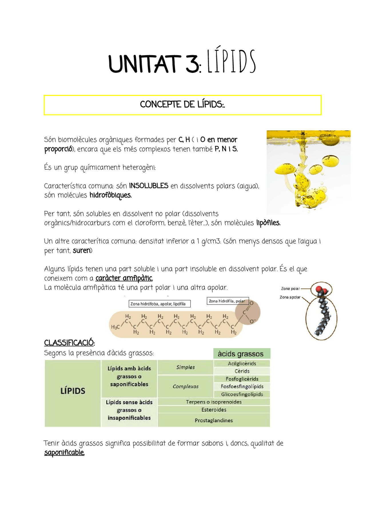 LÍpids 1r Batxillerat Docsity