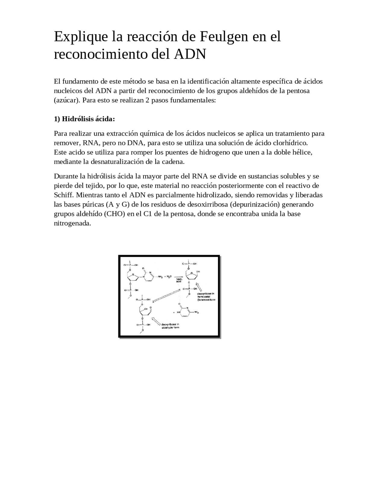 Reacción de Feulgen - Docsity