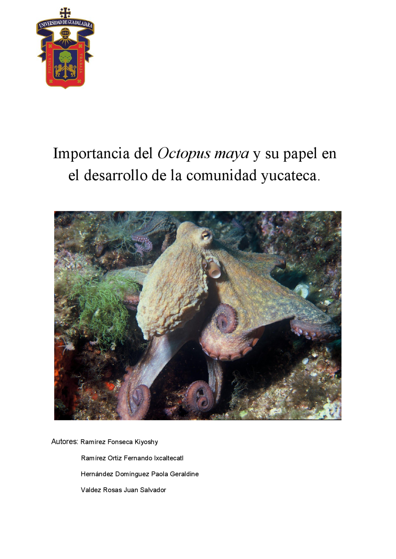 Importancia del Octopus maya y su papel en el desarrollo de la ...