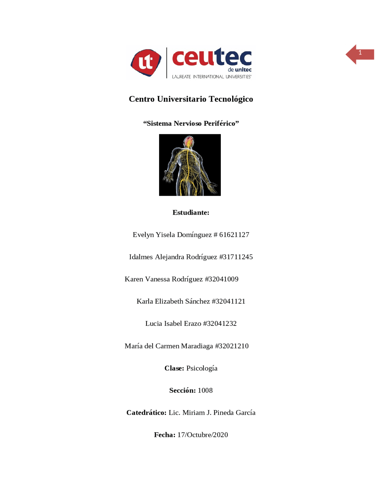 Sistema Nervioso Periferico Docsity