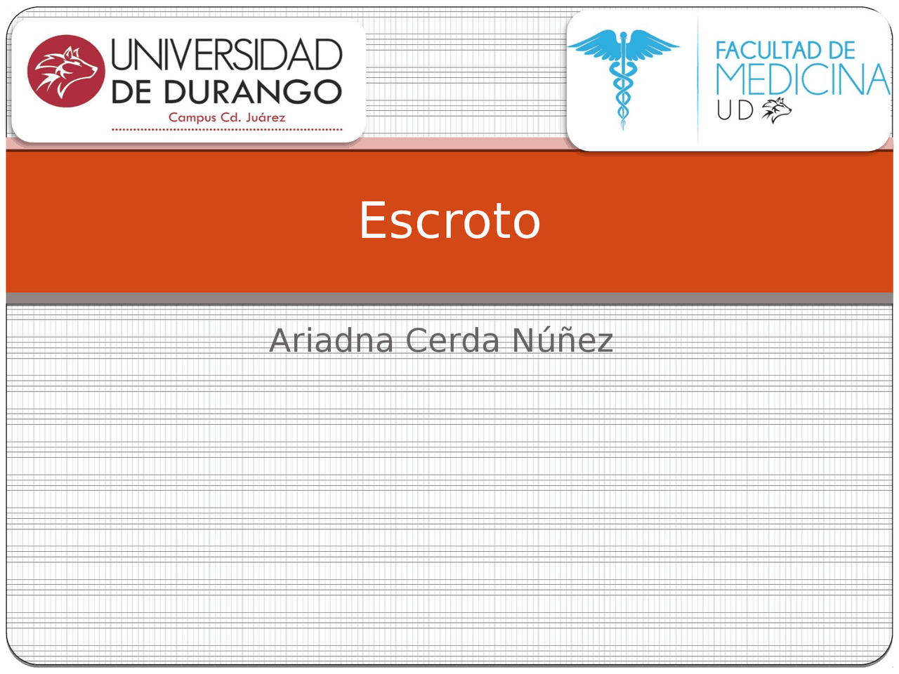 Descripción Anatómica del Escroto | Diapositivas de Anatomía | Docsity