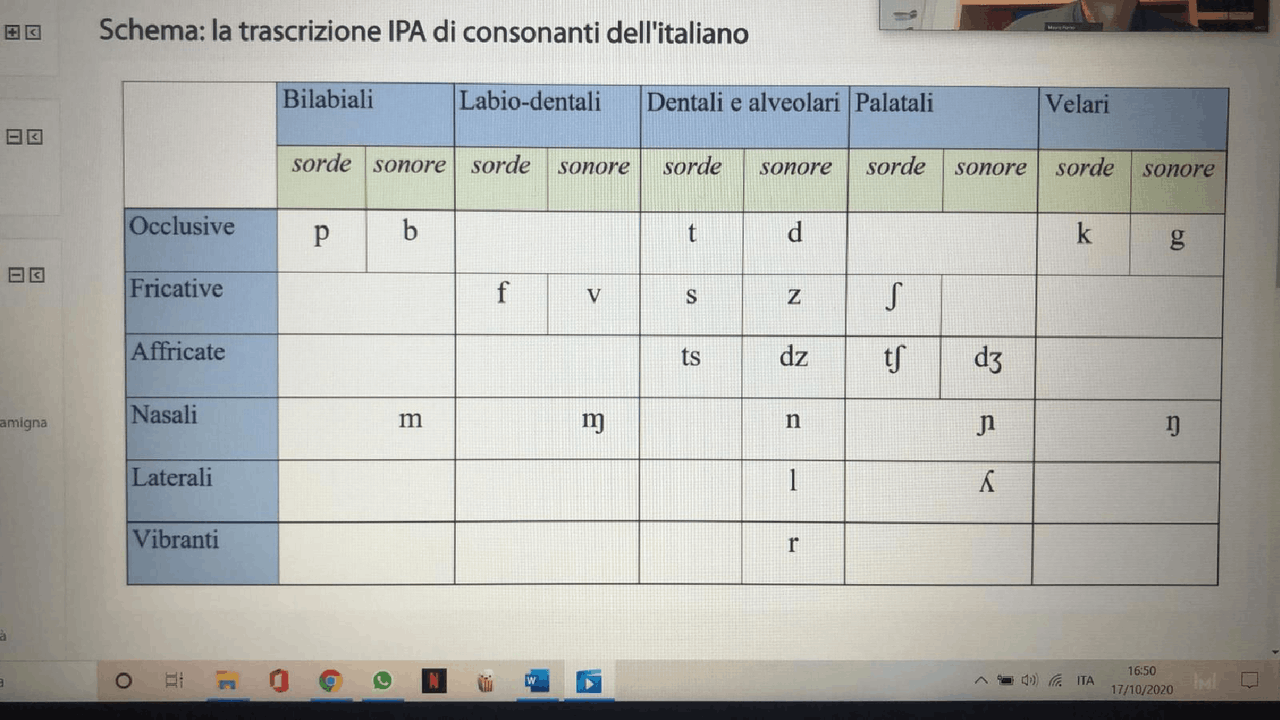 Tabella IPA linguistica | Esercizi di Linguistica | Docsity