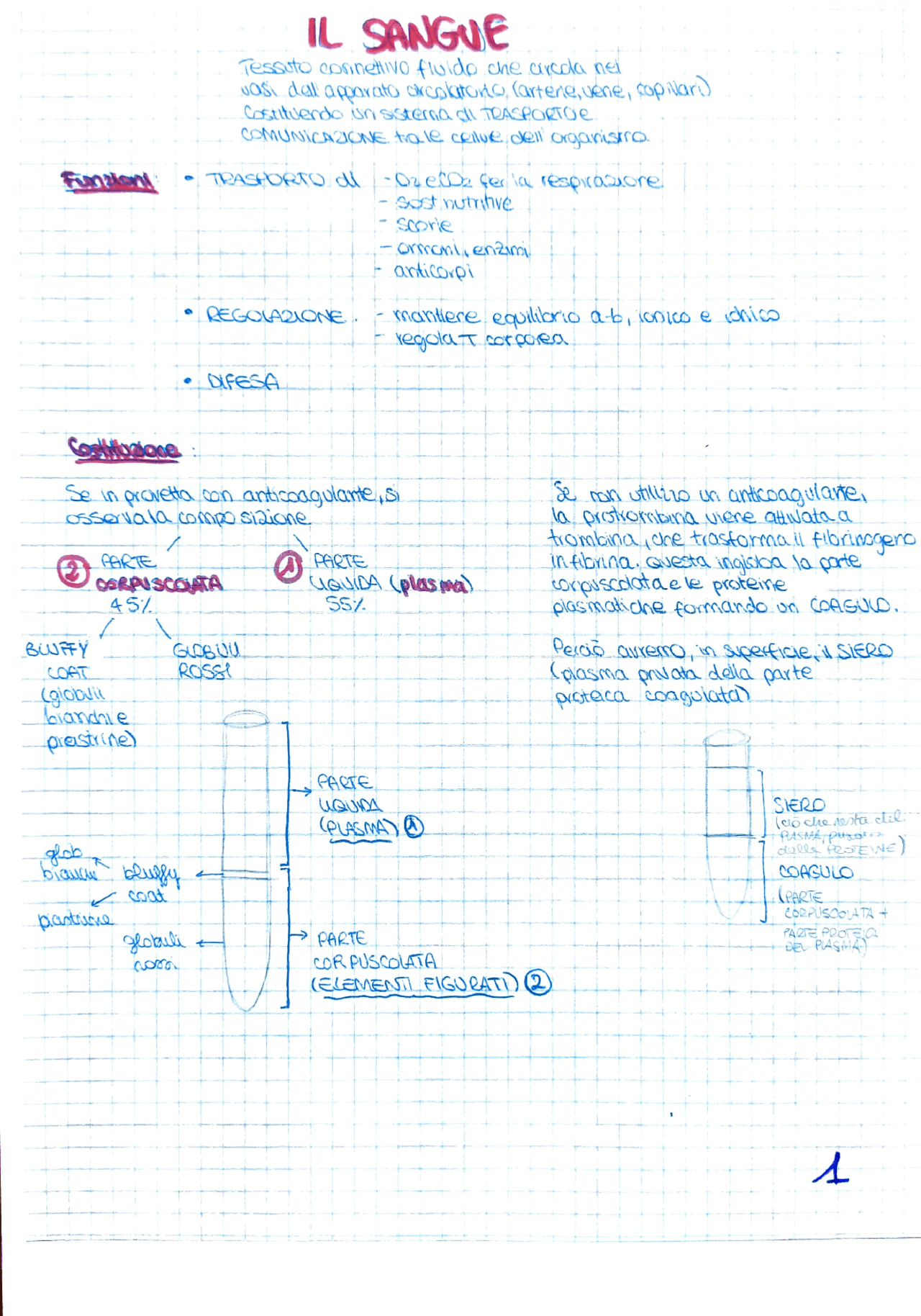 Istologia Riassunti Completi Parte 2 Docsity