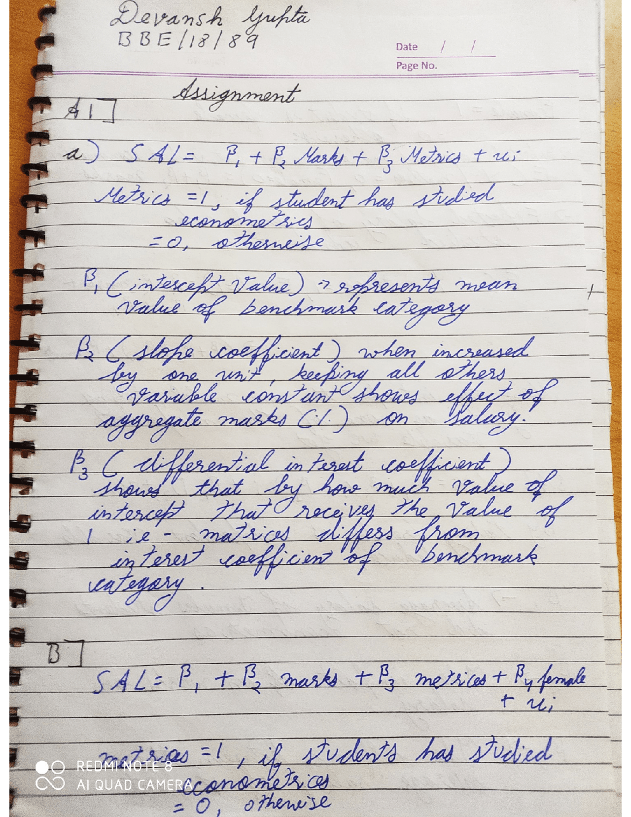 Econometrics Assignment For Delhi University Docsity