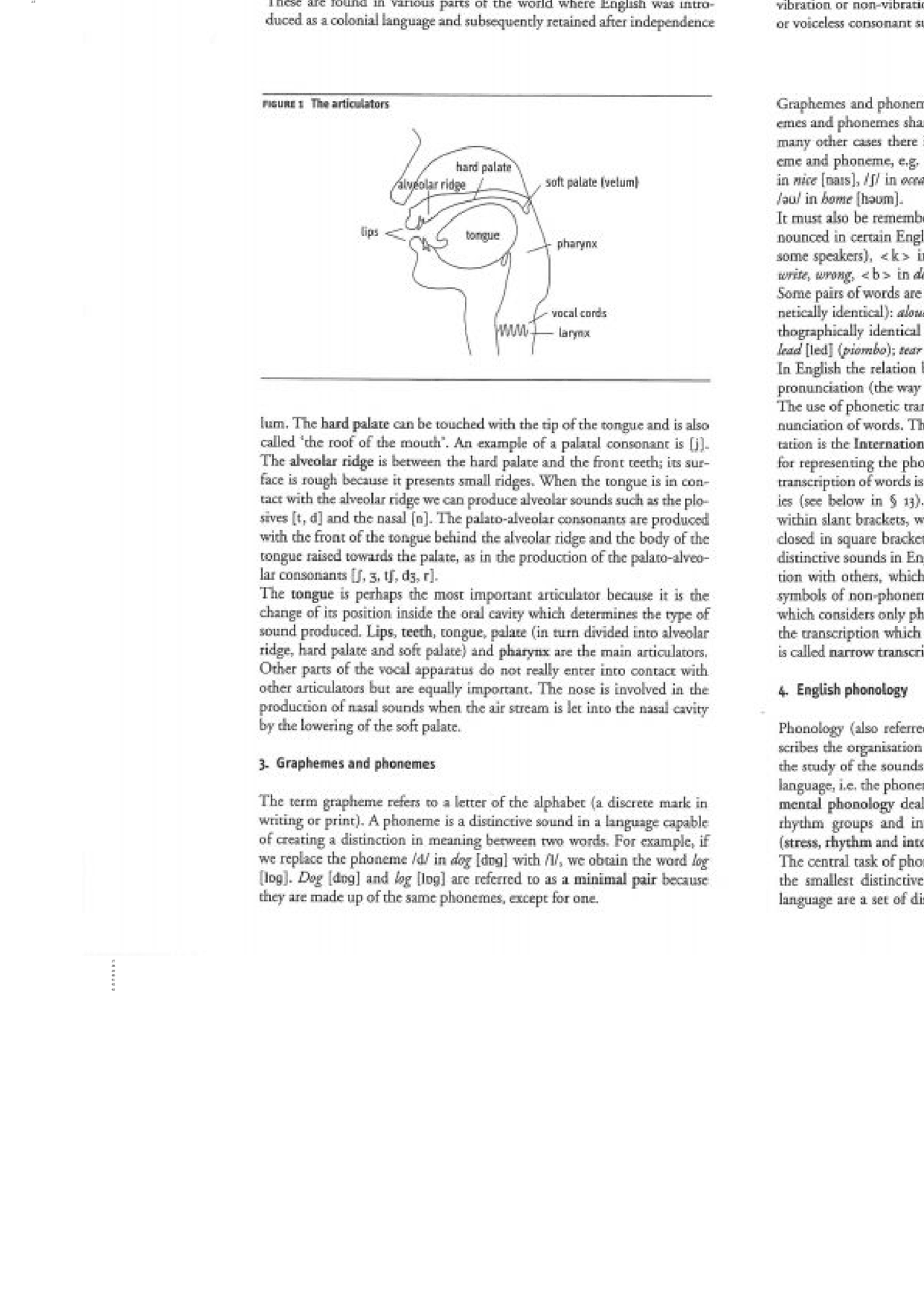 Dispense C Inglese Specialistico Docsity
