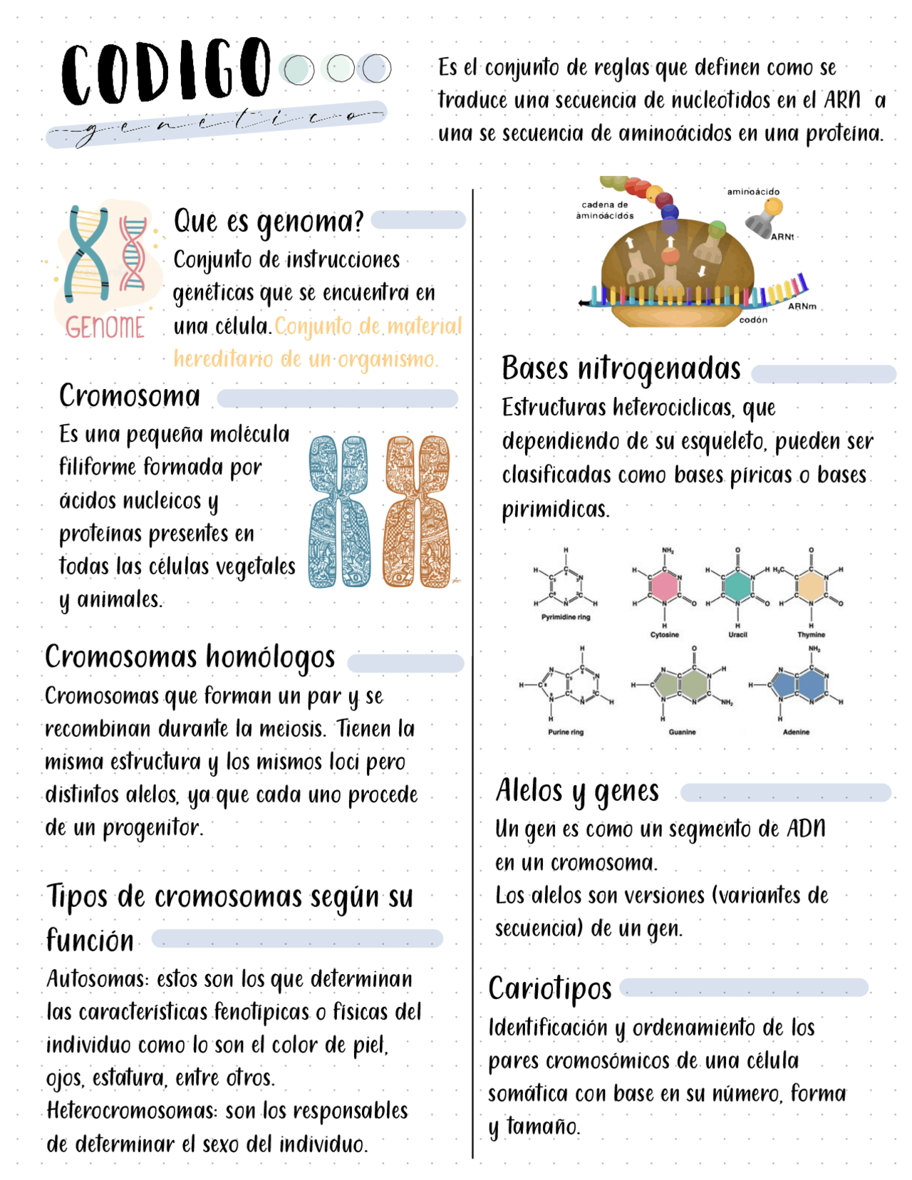 Código genético descripción - Docsity