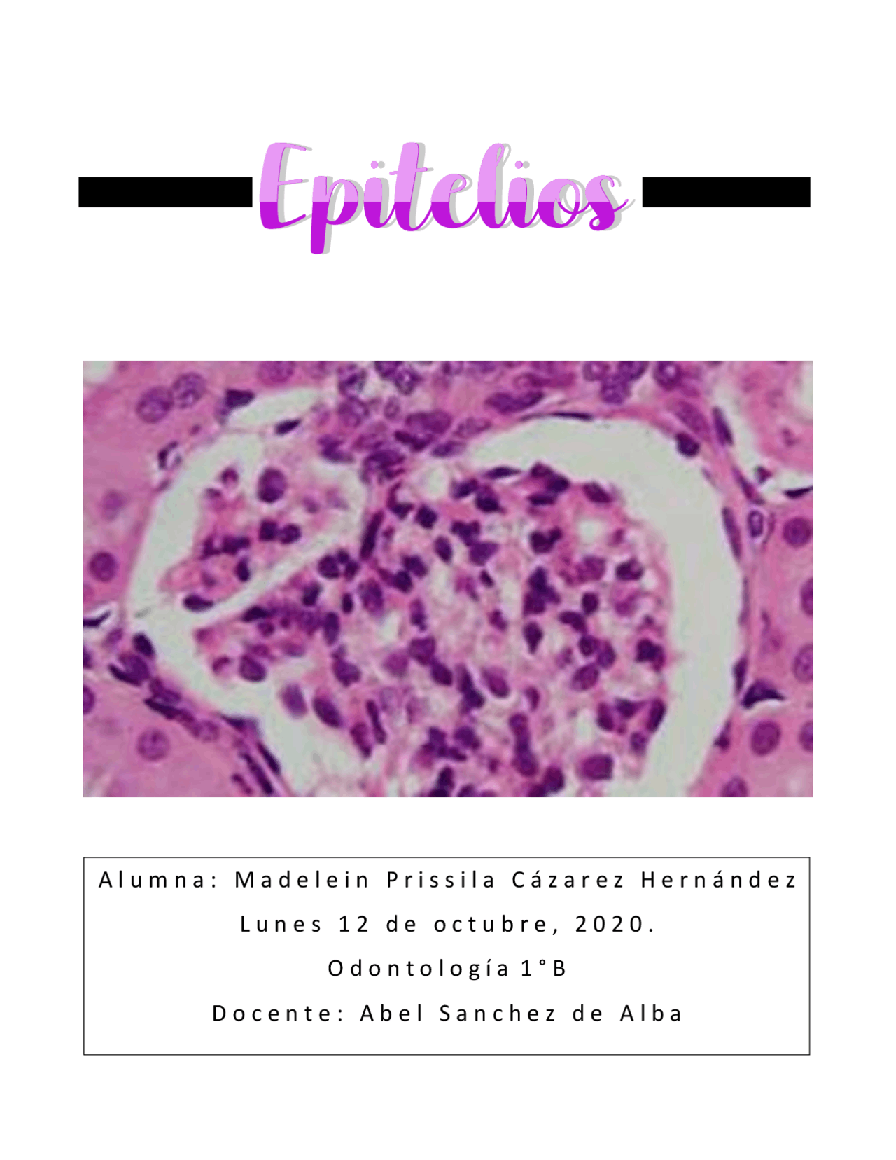 Epitelios Clasificación Endotelio Mesotelio Morfología Docsity