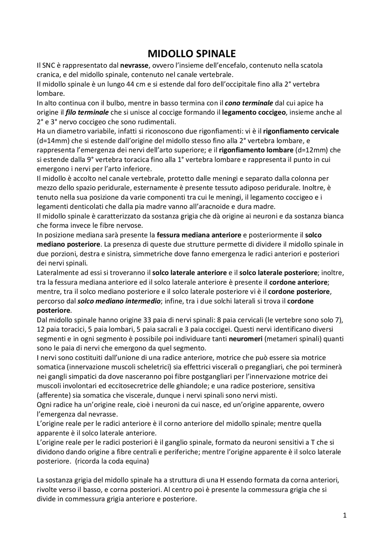 Riassunto Del Cattaneo Di Neuroanatomia Docsity