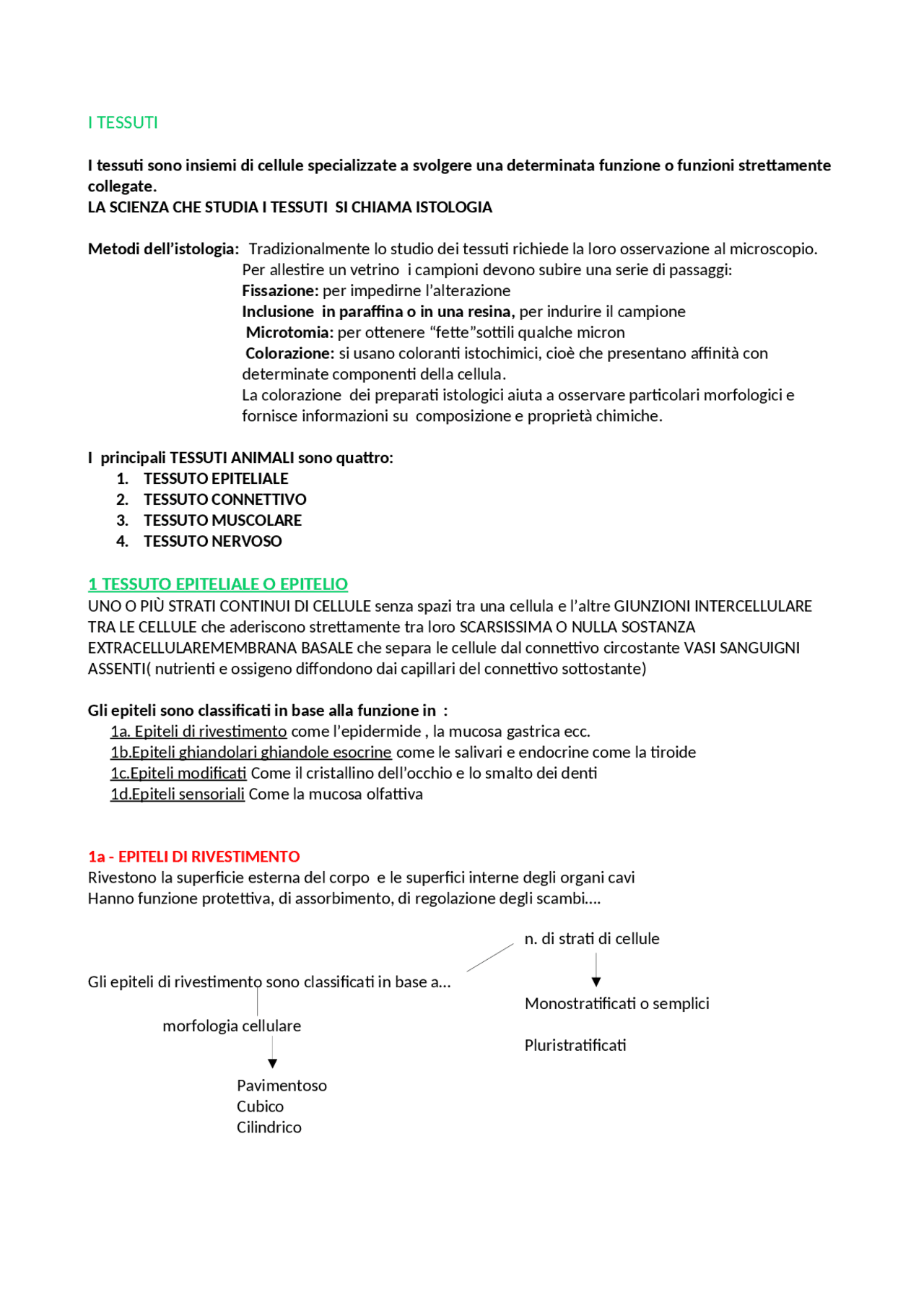 I Tessuti Appunti Di Biologia Docsity