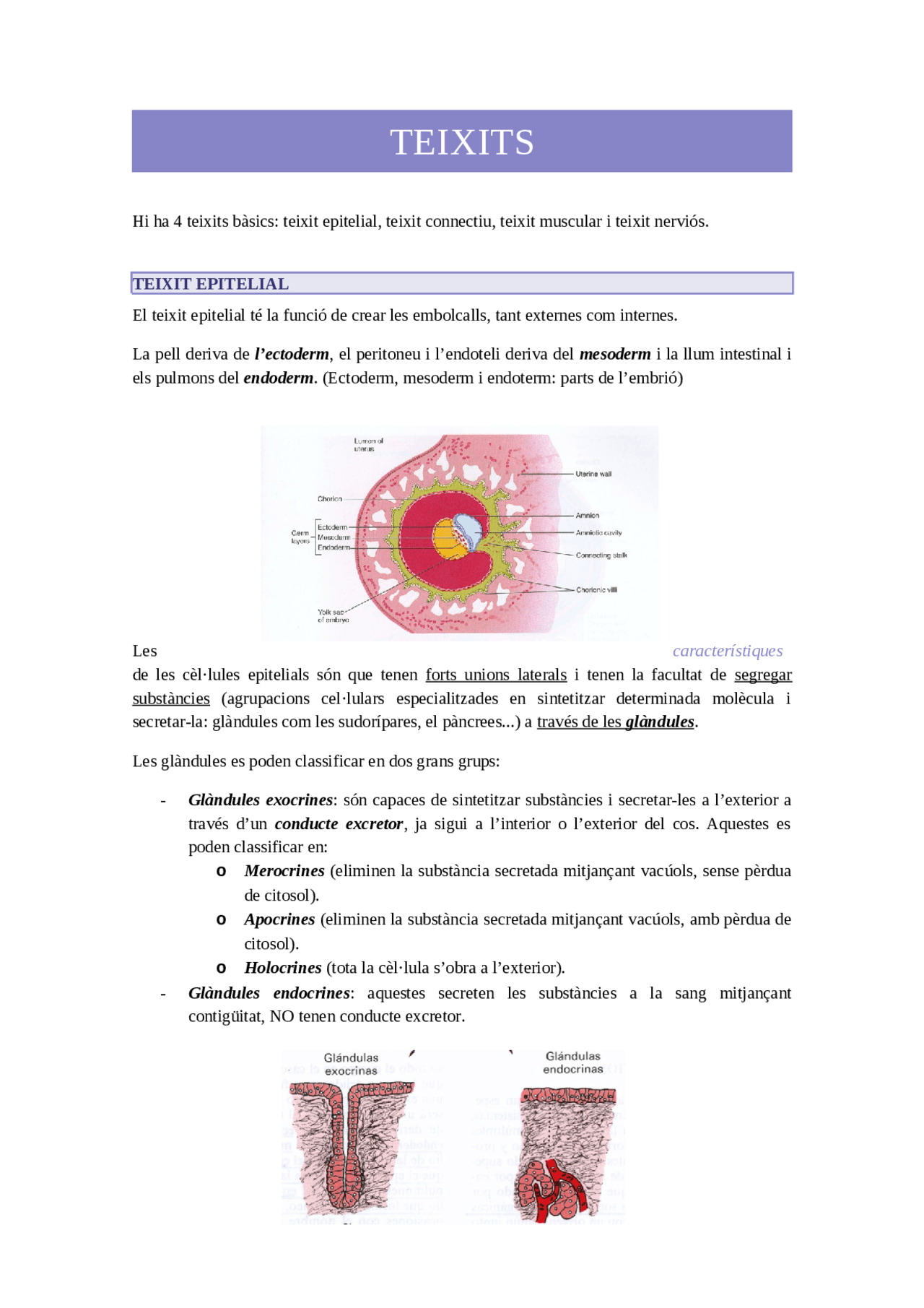 Teixits (epitelial, muscular, conectiu i nerviós) - Docsity
