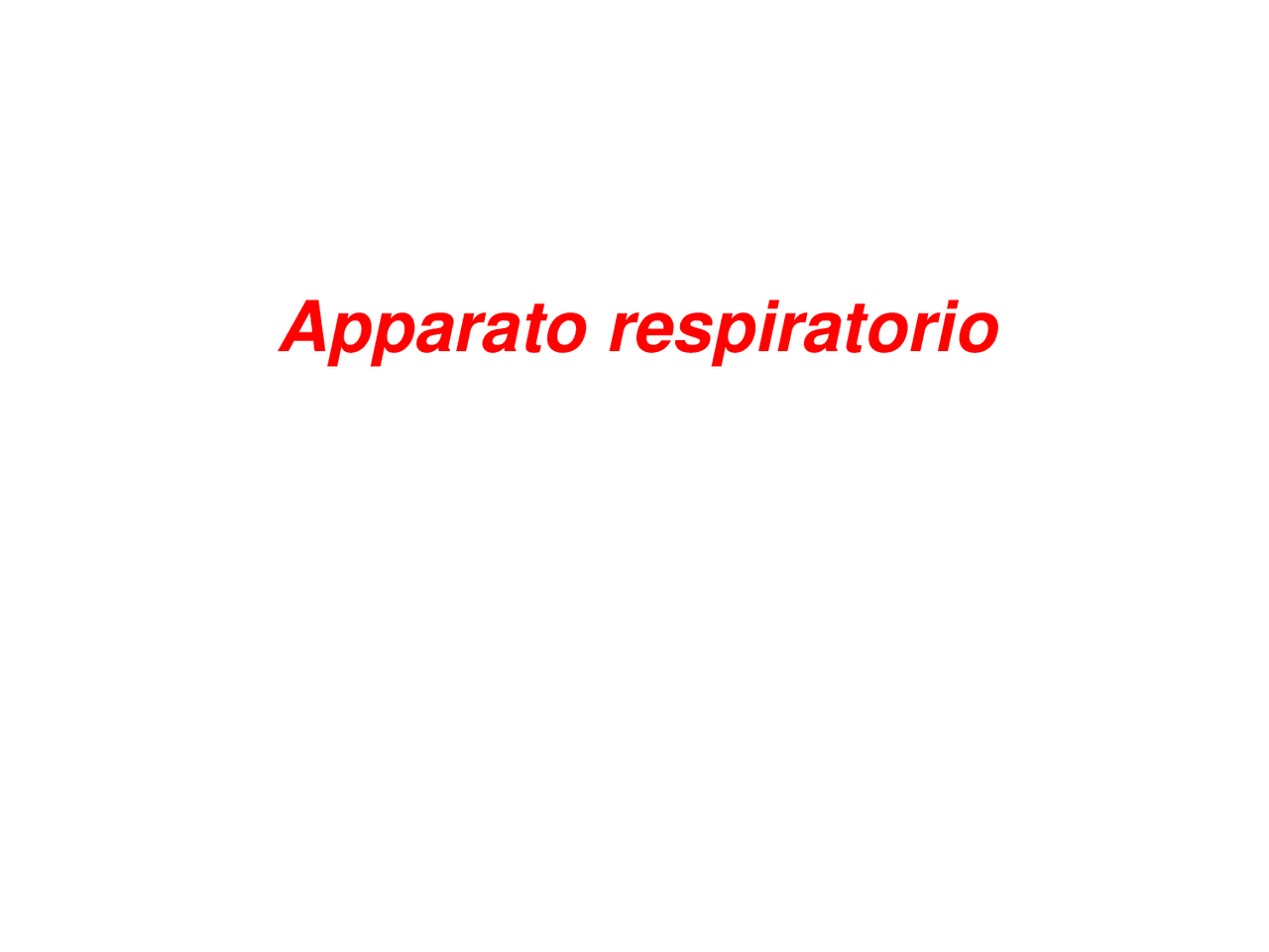 Apparato Respiratorio Docsity