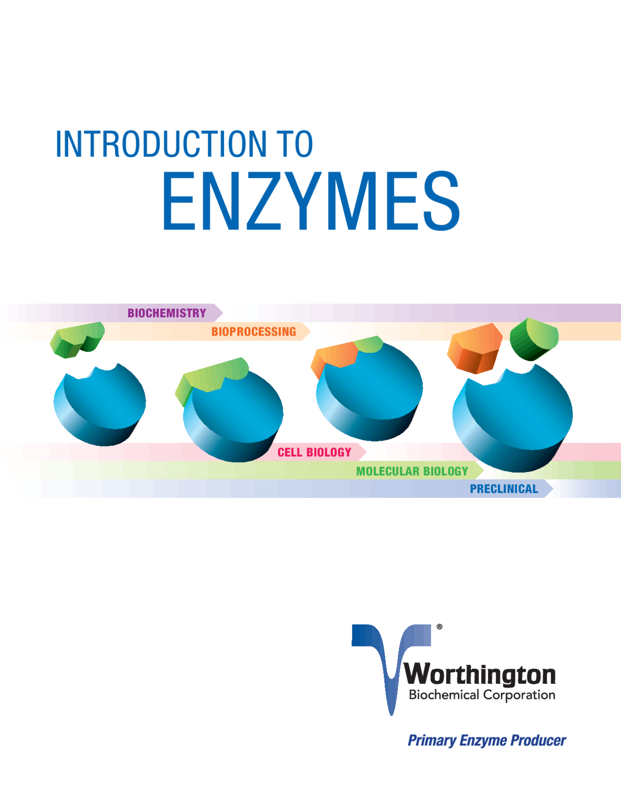 Introduction to Enzymes | Study Guides, Projects, Research Biology ...