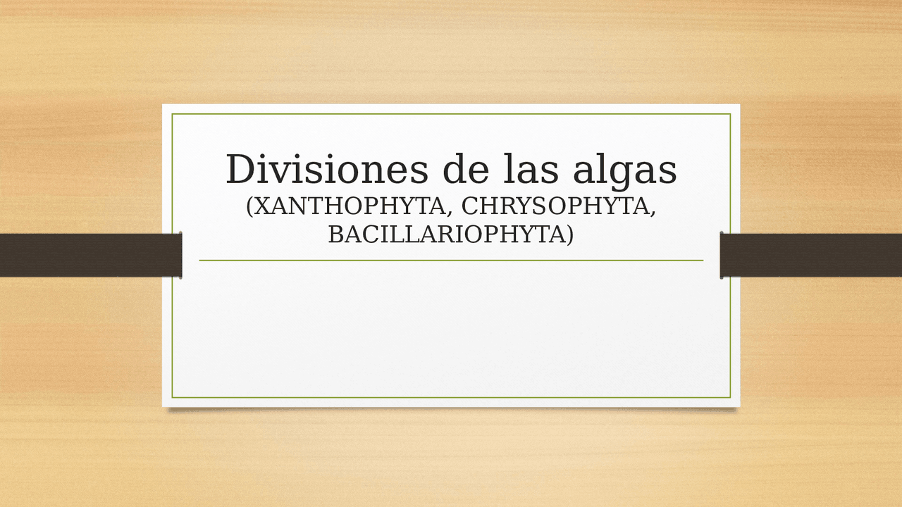 Xanthophyta Chrysophyta Y Bacillariophyta Docsity