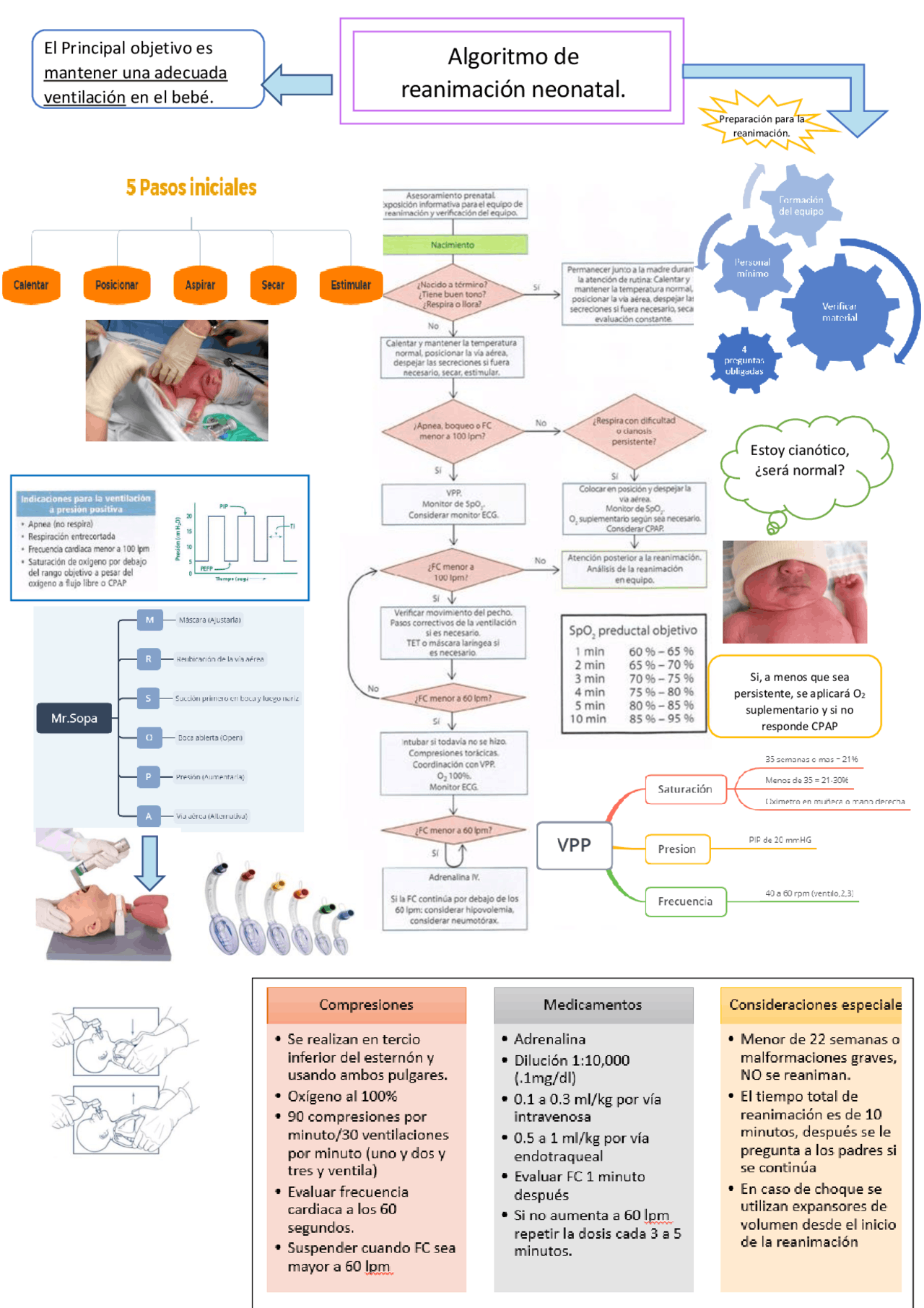 Reanimación Neonatal Apuntes De Pediatría Docsity