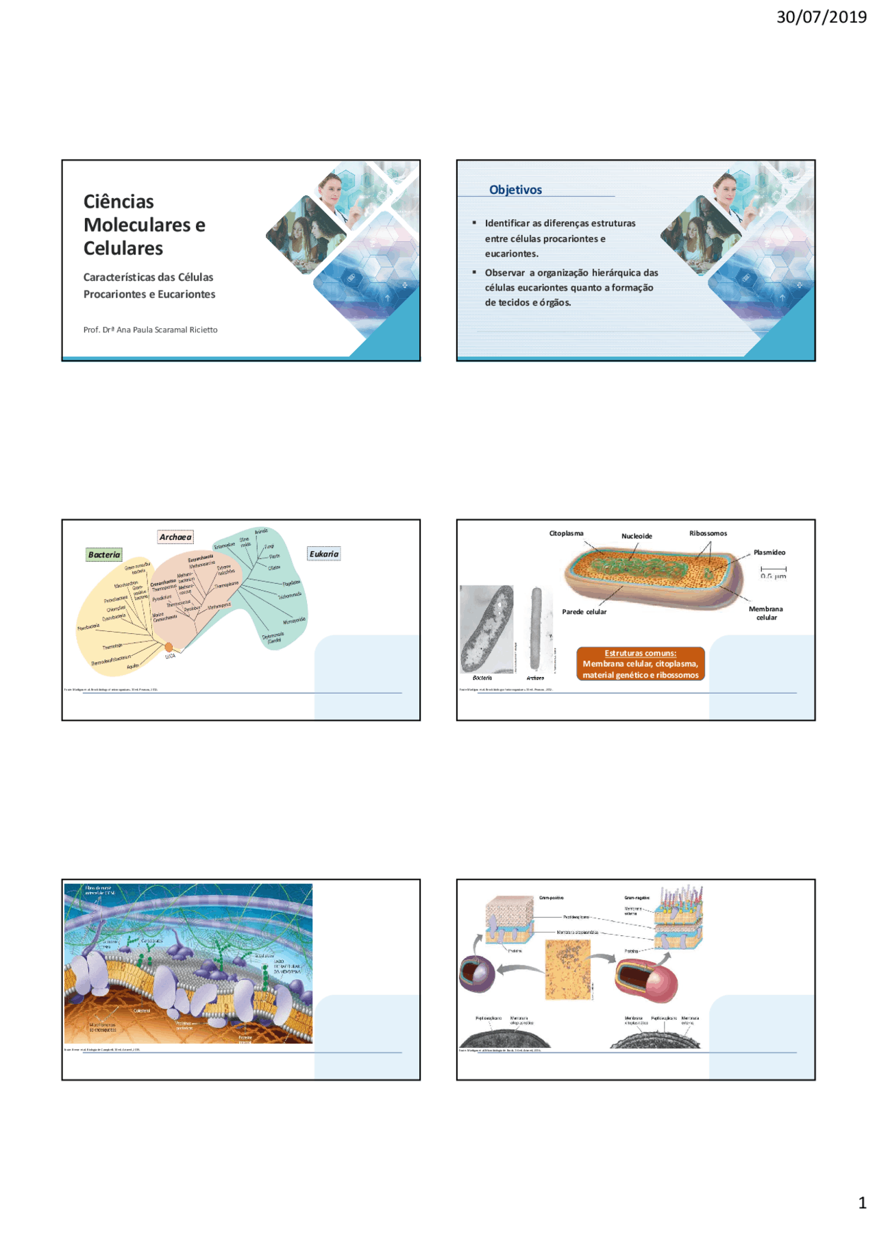 Ajuda Em Resumos Slides Para Fins De Cursos Da Area Da Saude Docsity
