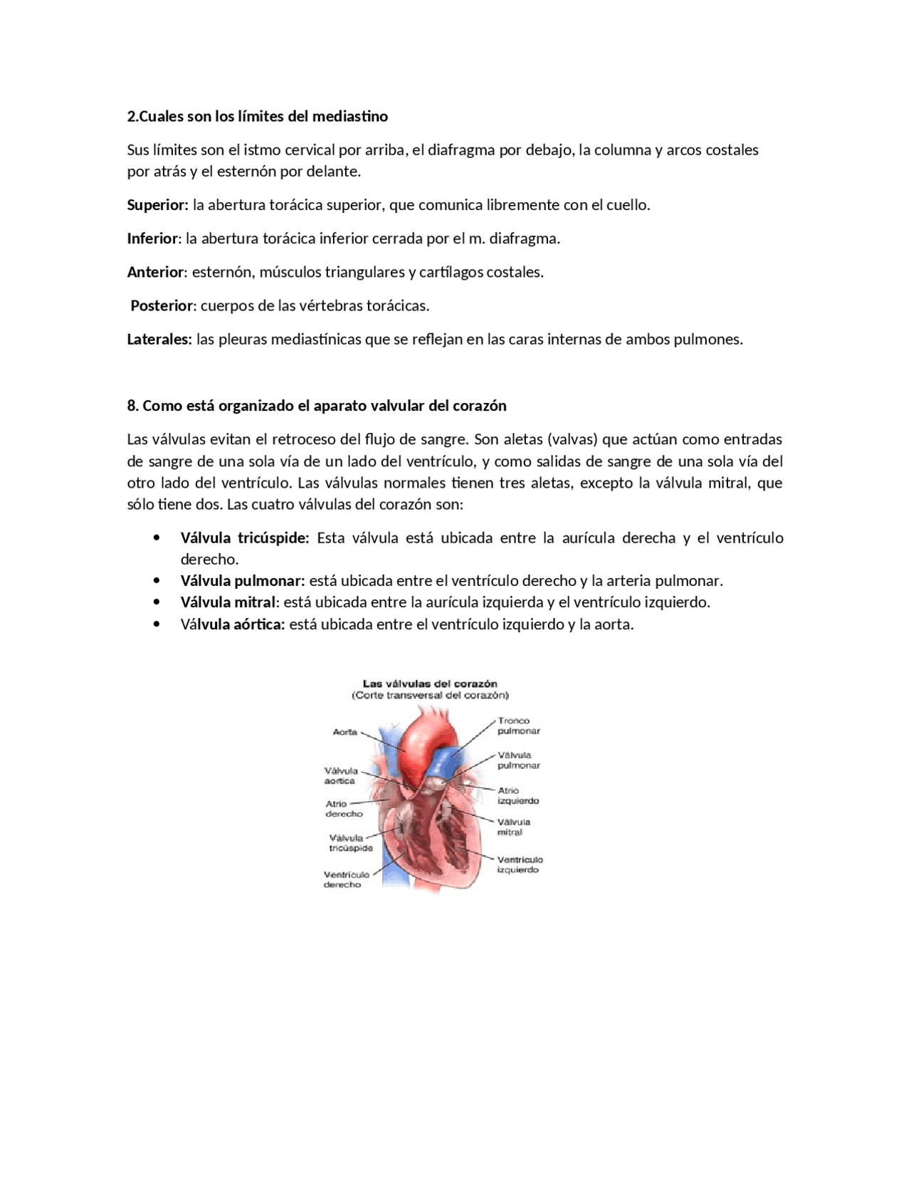 Estructura cardiaca del corazon - Docsity