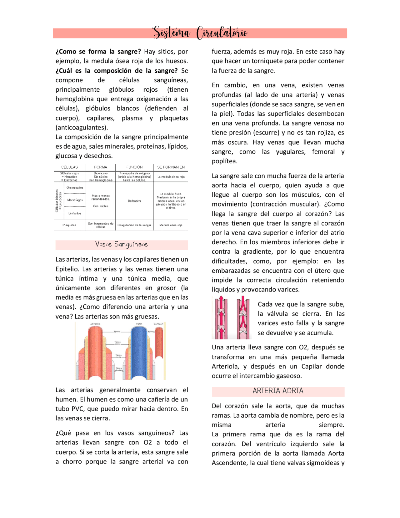 Apuntes Sistema Circulatorio Primer Semestre Docsity