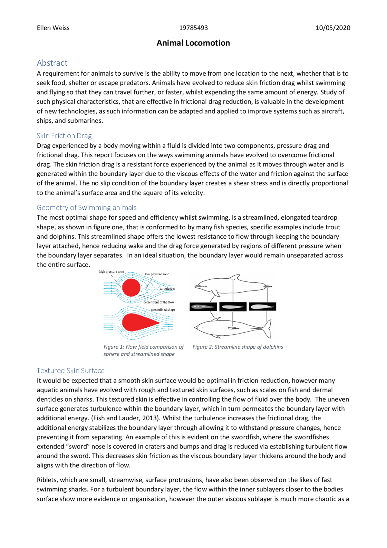 Fluid Mechanics: Animal Locomotion Lab Report - Docsity
