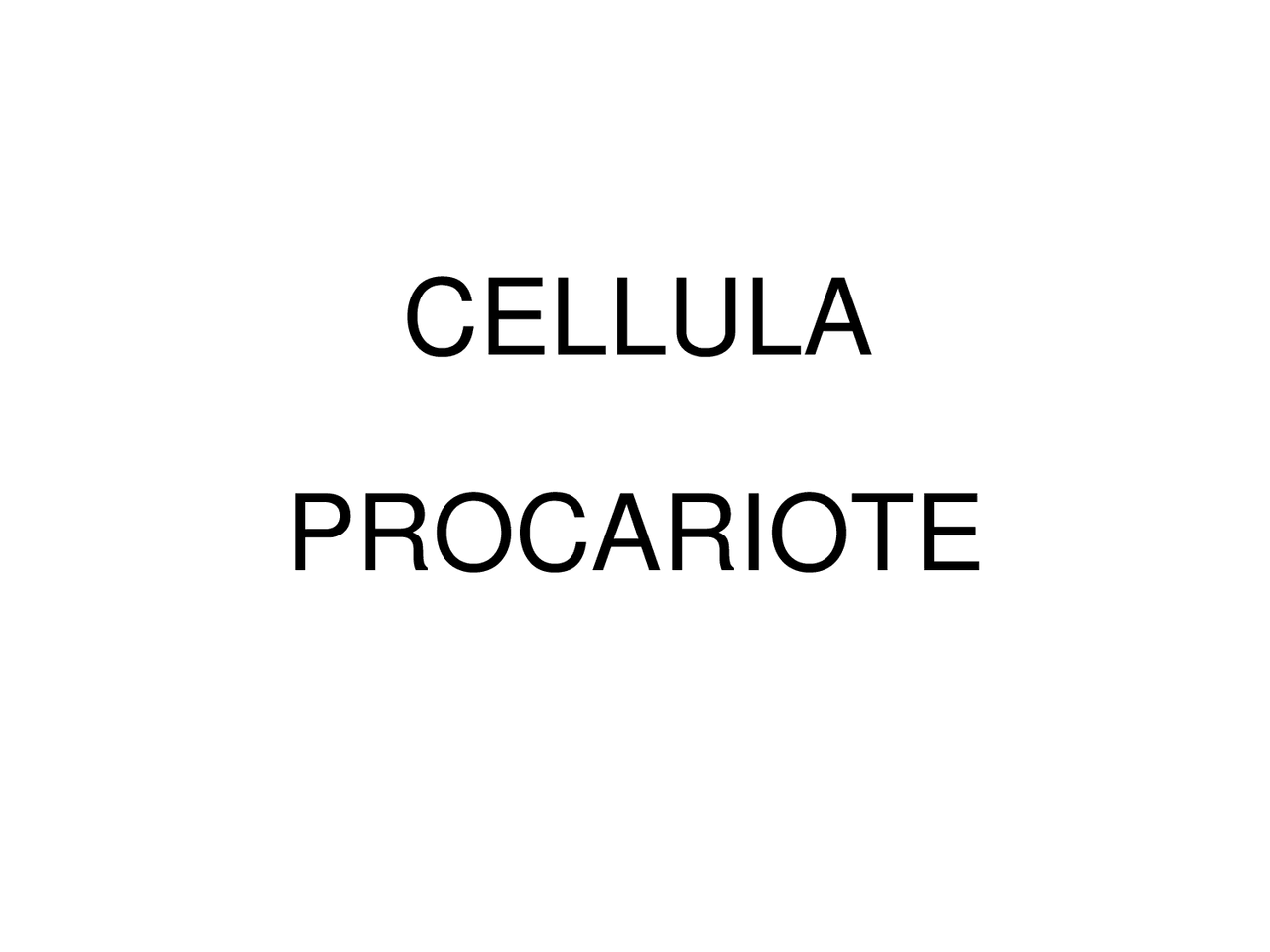 La Cellula E I Suoi Componenti Docsity