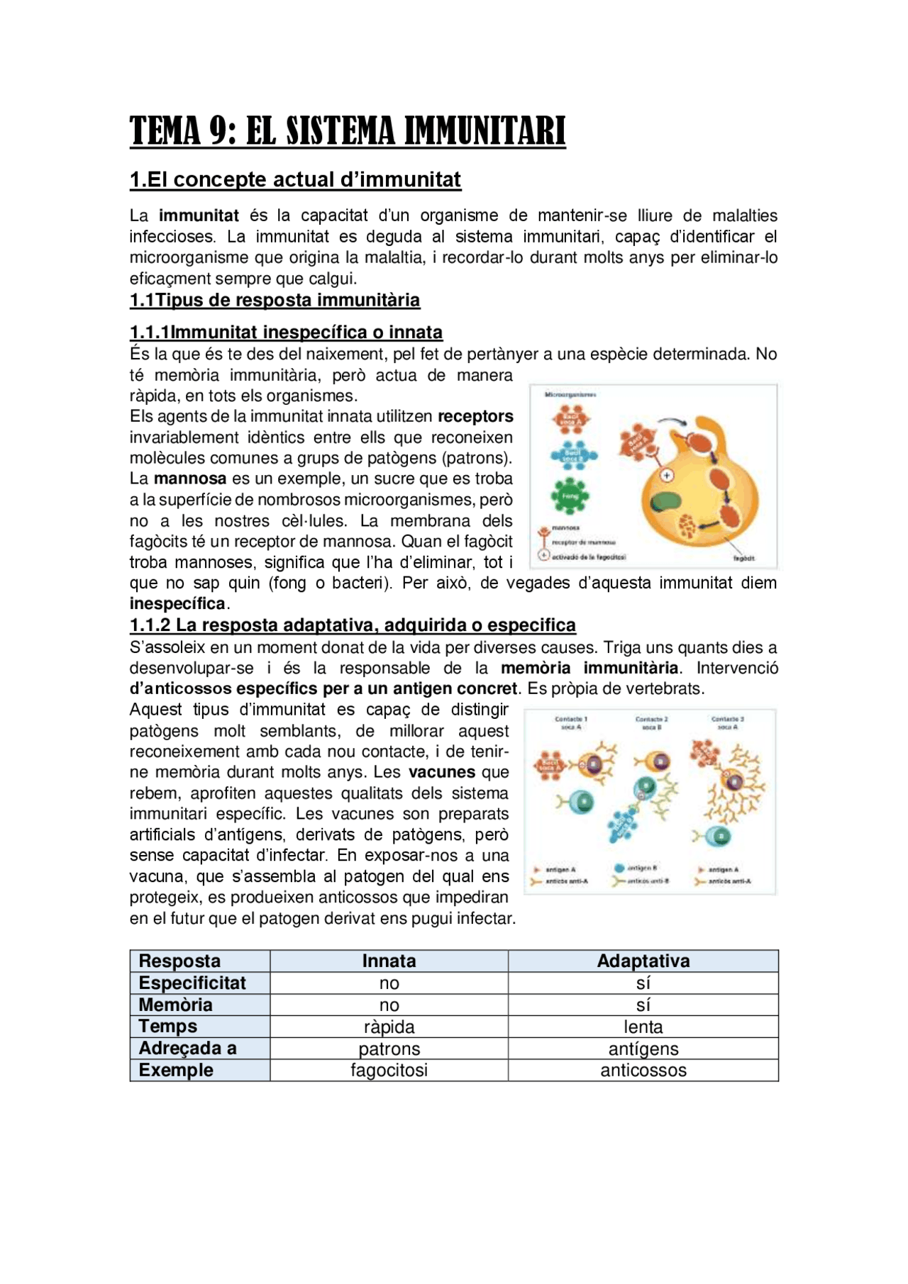 Apuntes Immunologia Segundo Bat Docsity