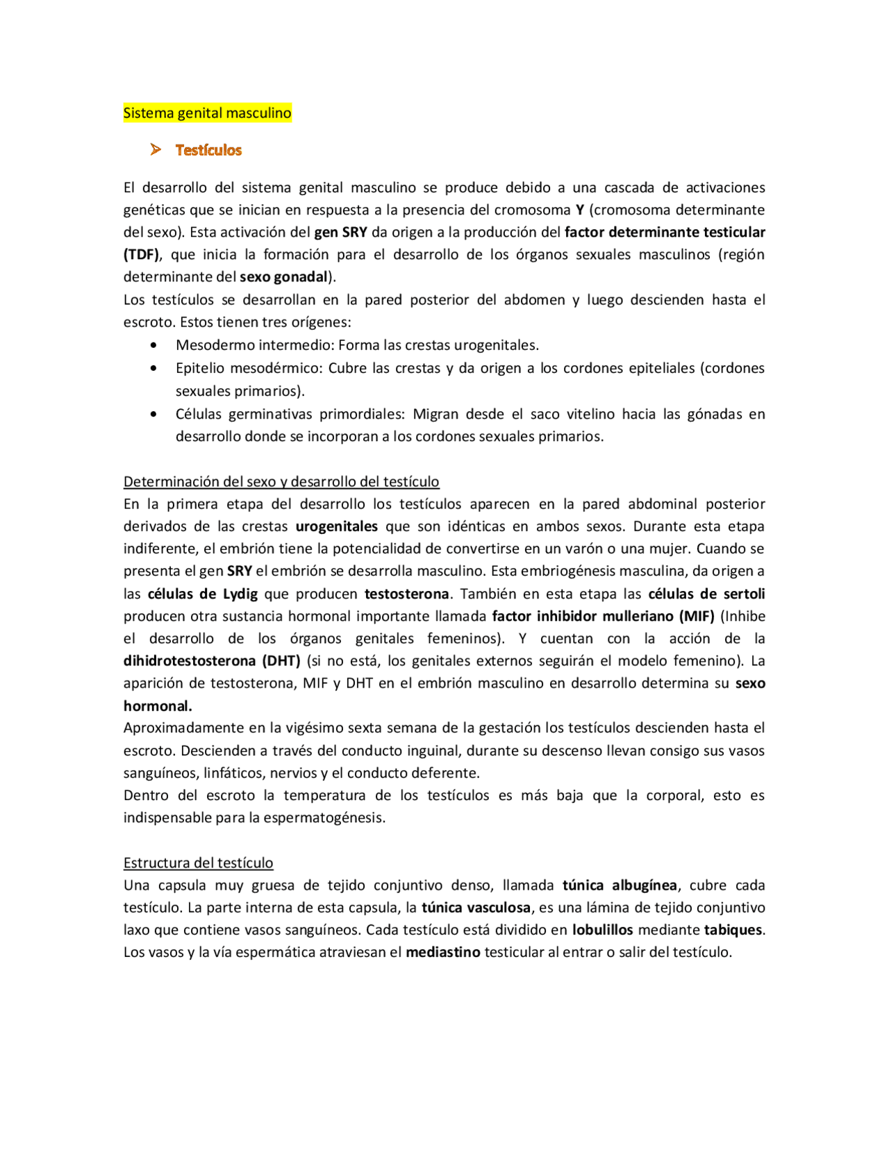 Histología Sistema Reproductor Masculino Docsity