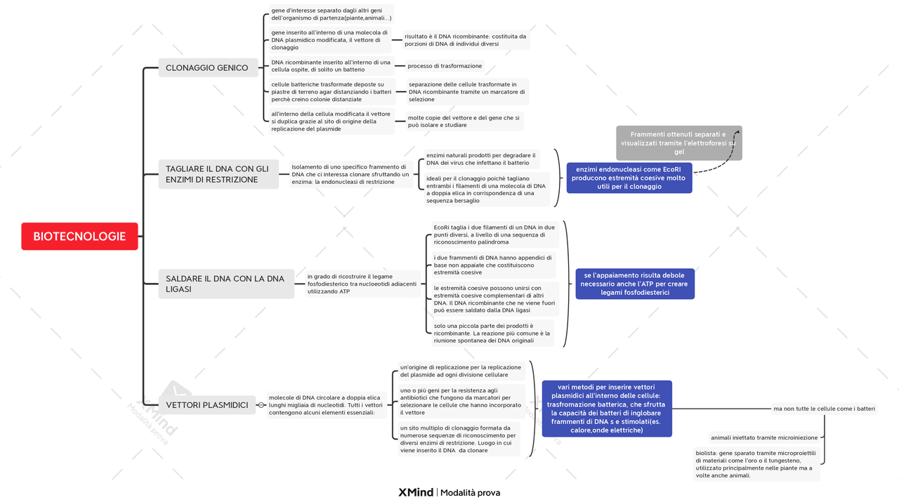 Schema Biotecnologie Docsity