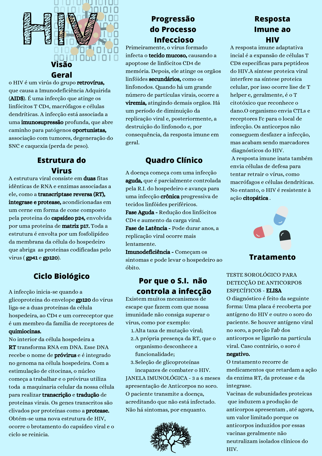 O Virús HIV: quadro de infecção, fases e ação do sistema imune - Docsity