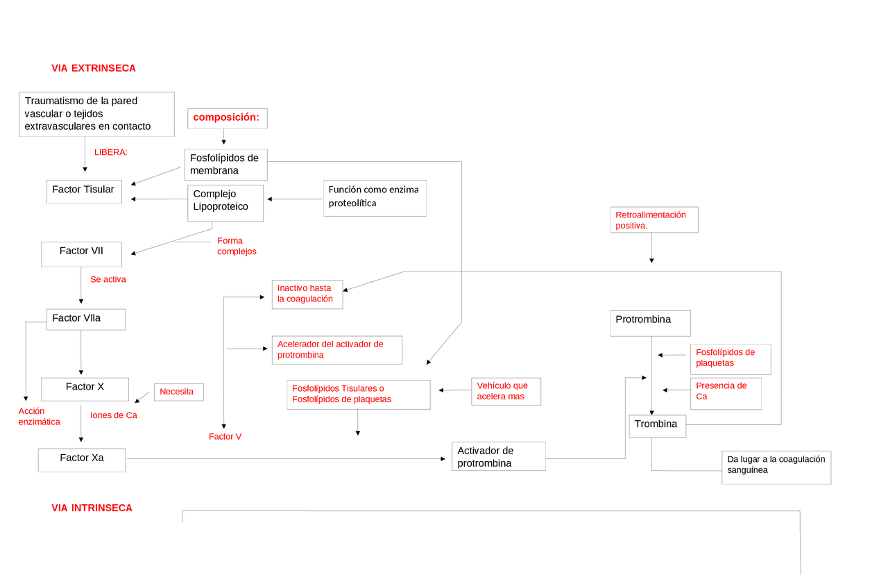 VIA INTRINSECA E EXTRINSECA Y FACTORES DE COAGULACION | Esquemas y ...